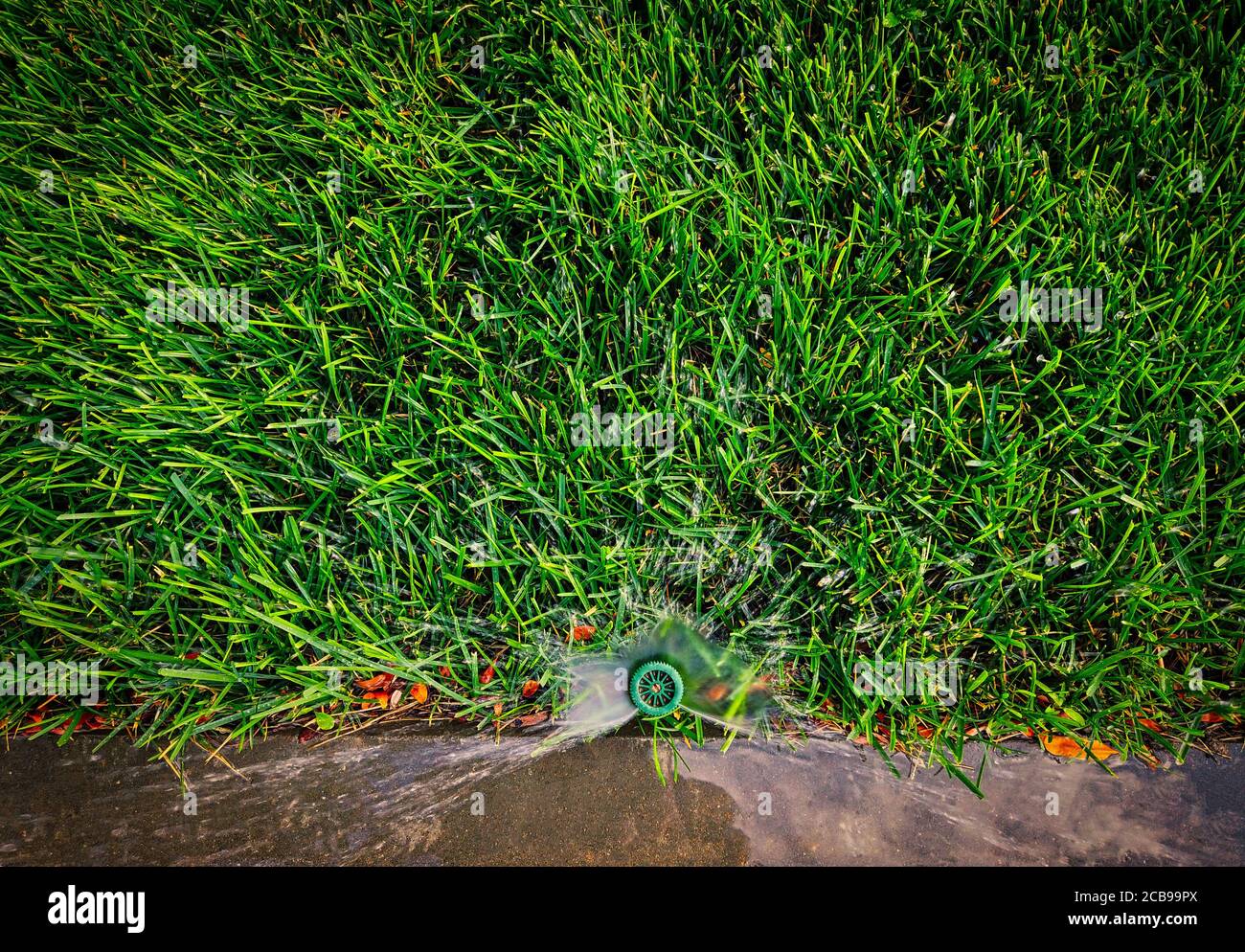 Head above parapet hi-res stock photography and images - Alamy