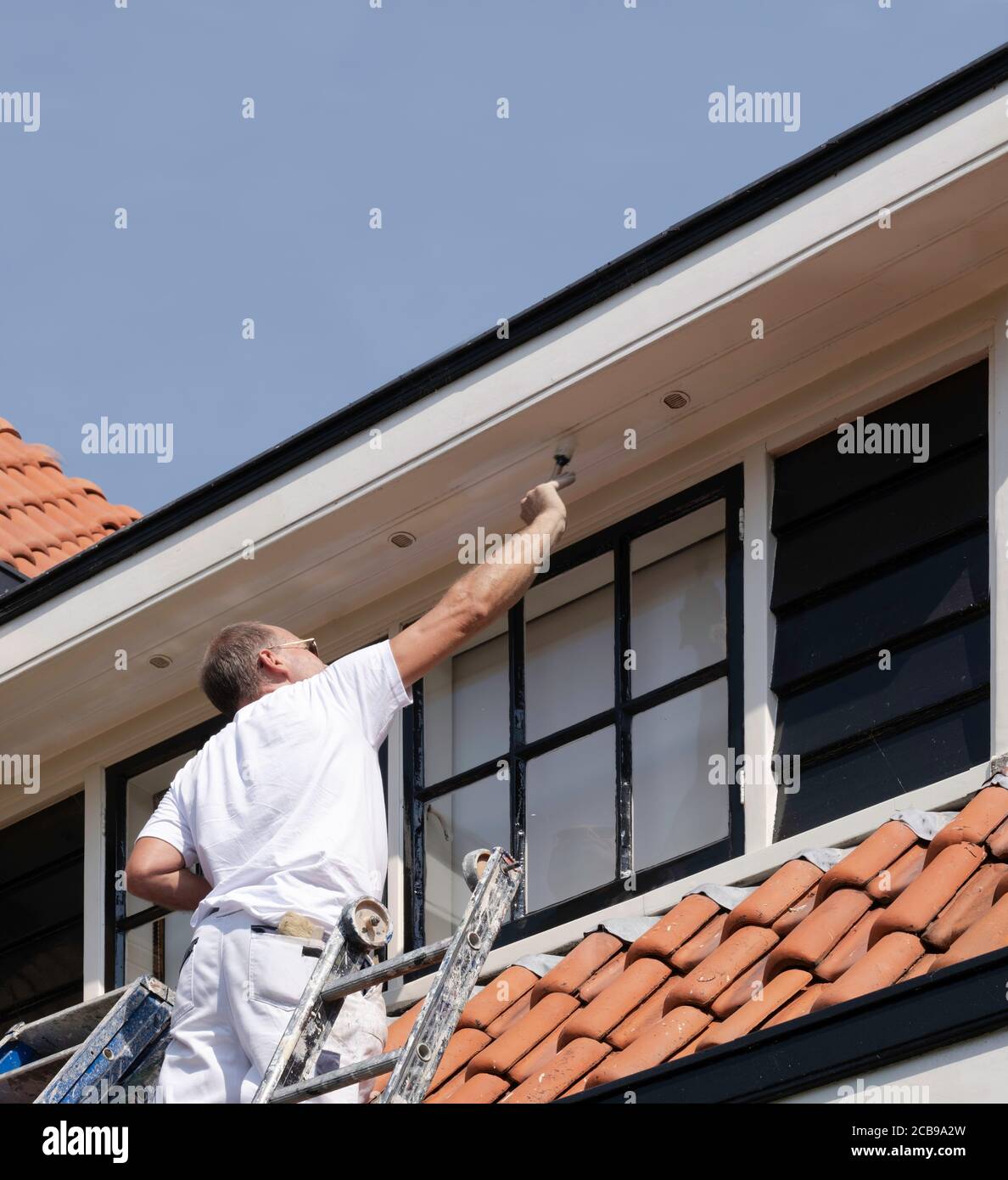 Professional house painter standing on a ladder doing exterior paint ...