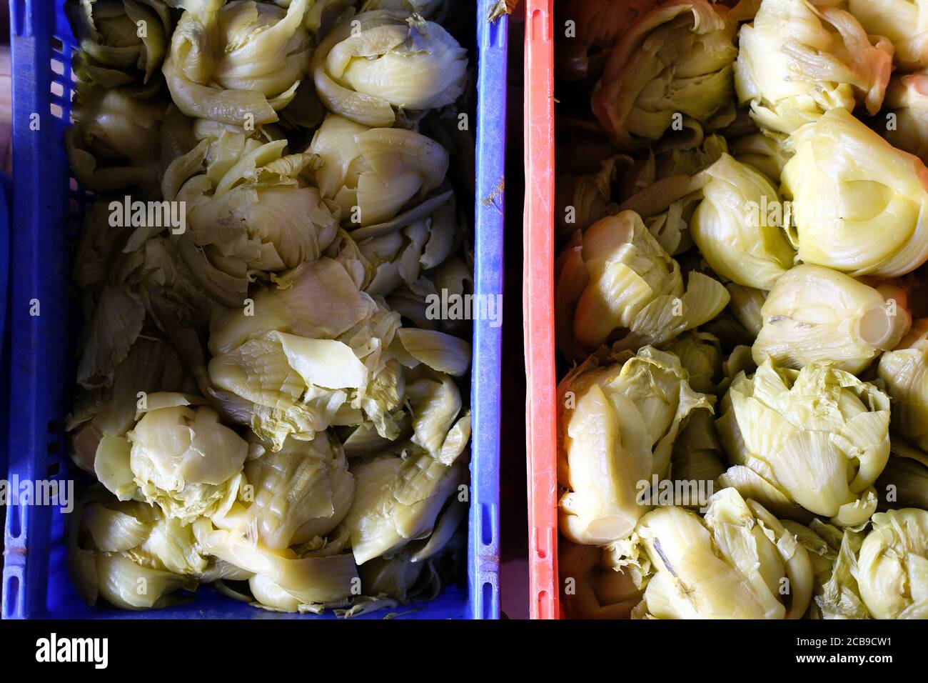Pickled Green Chinese Cabbage in plant factory. Chinese Traditional ...