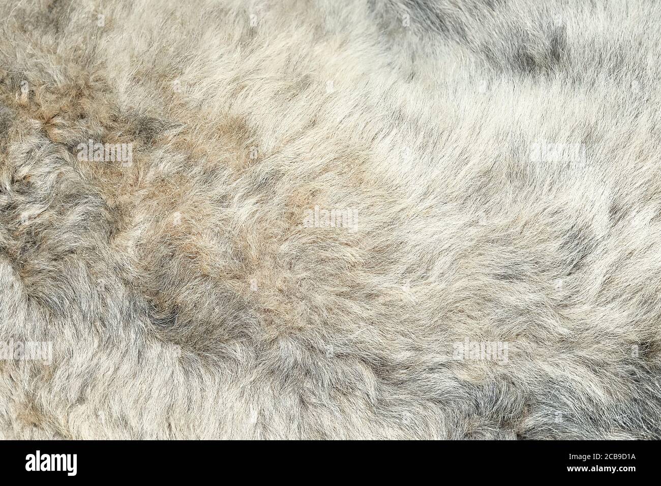Fluffy fur texture hi-res stock photography and images - Alamy