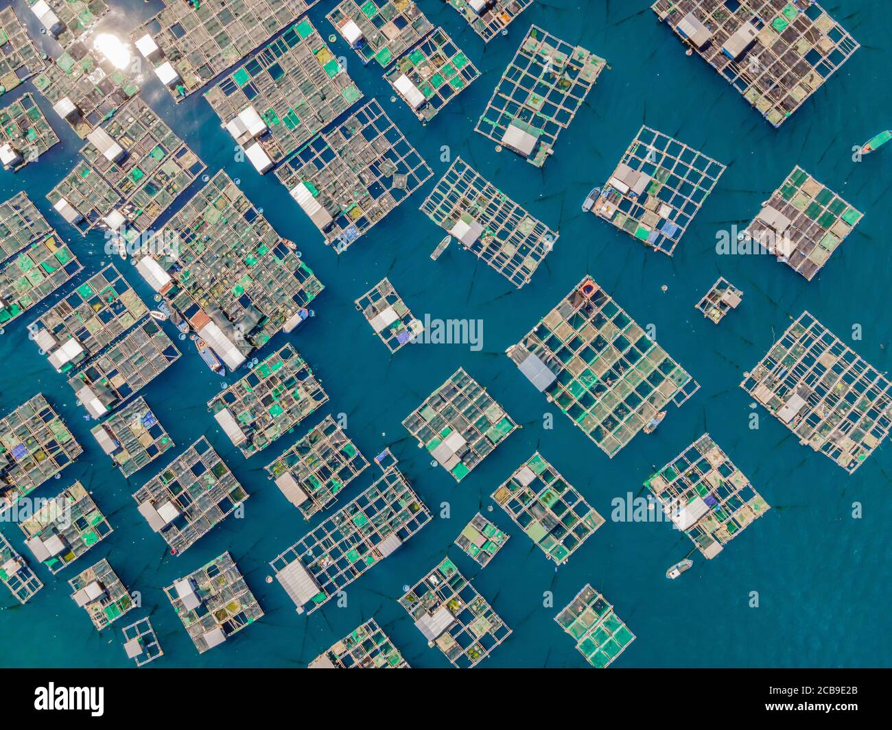 Lots of marine farms in a blue sea water. Sea farming concept Stock ...