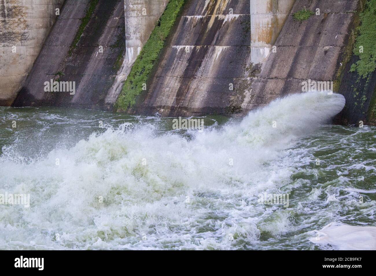 Draining a swamp hi-res stock photography and images - Alamy