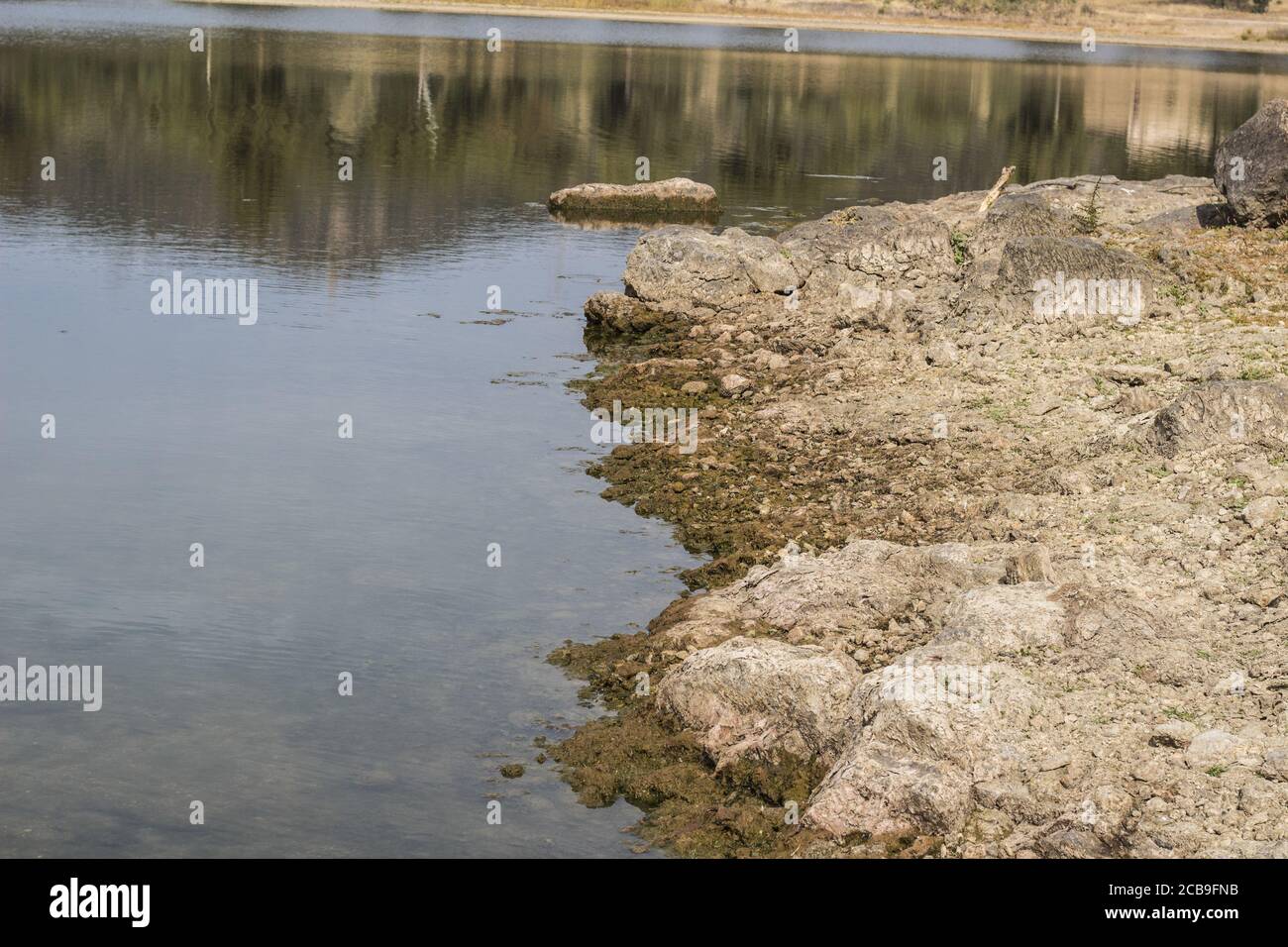 Closeup shot of the shoreline of a river with a clear water surface ...