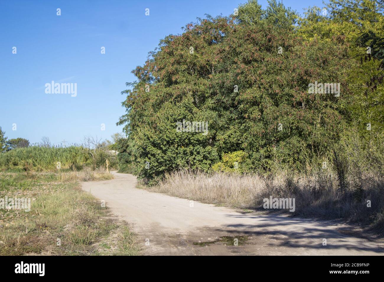 landscape path, nature Stock Photo - Alamy