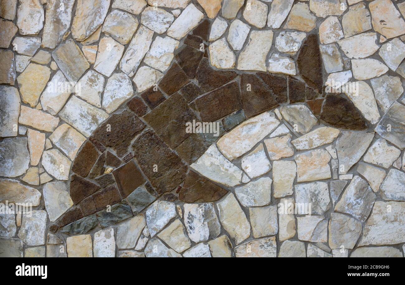 Dolphin creation hi-res stock photography and images - Alamy