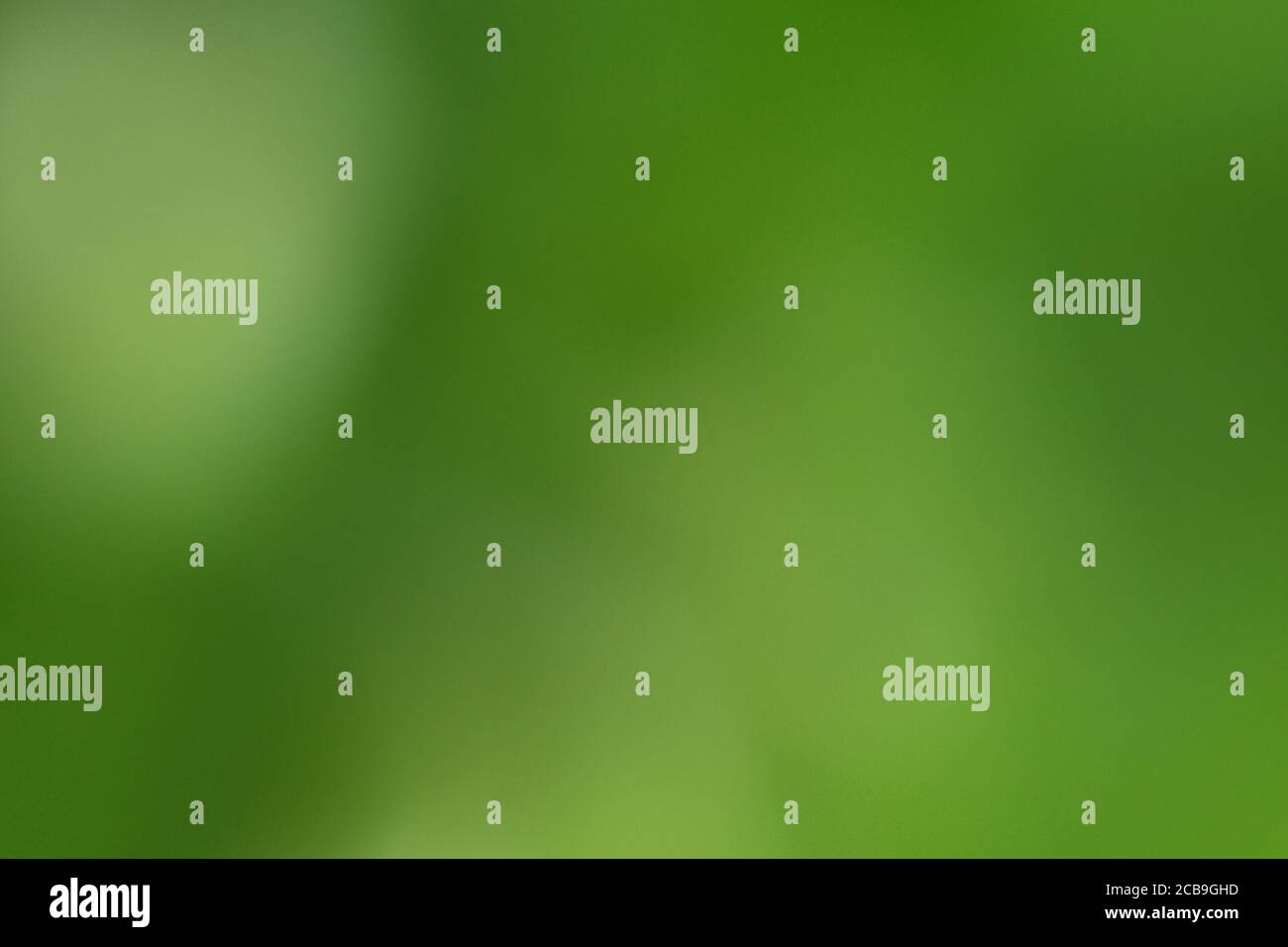 Bokeh green nature, Subtle background in abstract style for graphic ...