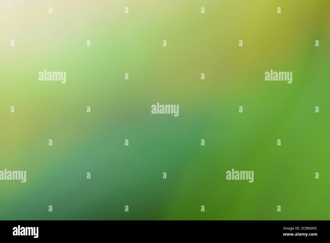 Bokeh green nature, Subtle background in abstract style for graphic ...