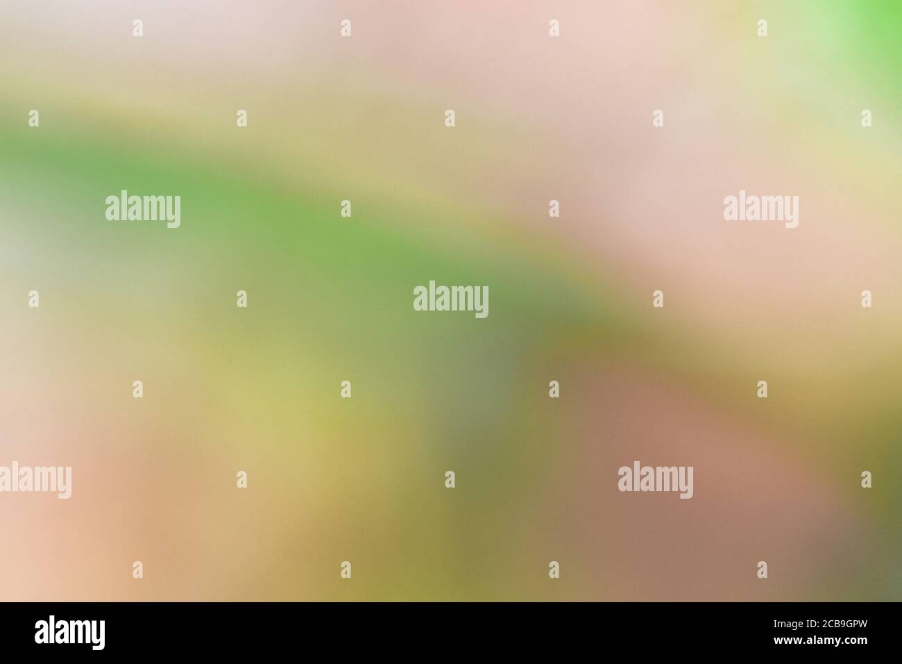 Bokeh green nature, Subtle background in abstract style for graphic ...