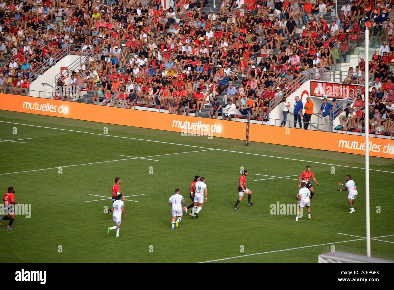 Toulon vs Pau rugby match at the Mayol Toulon stadium Stock Photo - Alamy