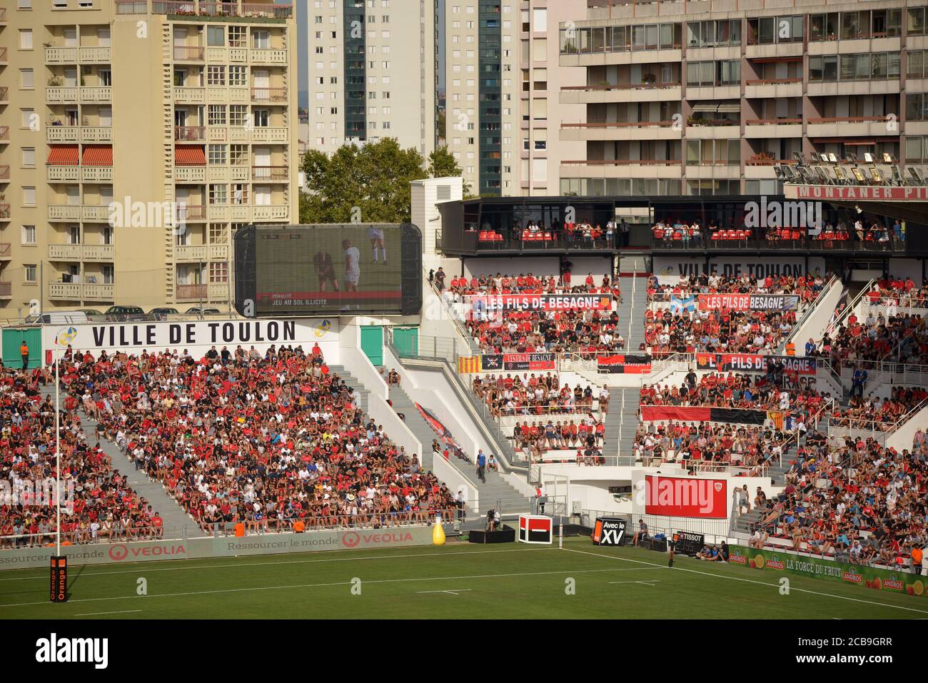 Toulon vs Pau rugby match at the Mayol Toulon stadium Stock Photo - Alamy