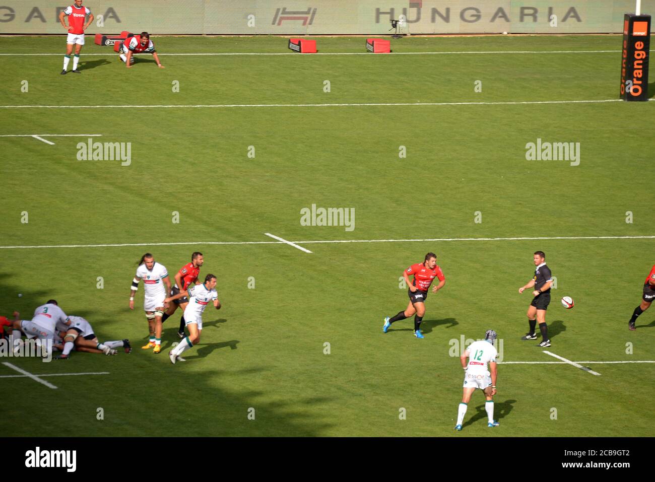 Toulon vs Pau rugby match at the Mayol Toulon stadium Stock Photo - Alamy