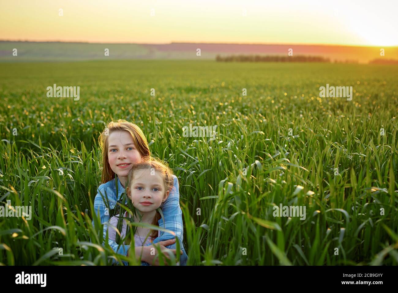 two sisters sit in the long grass at sunset, the girls play hide-and ...