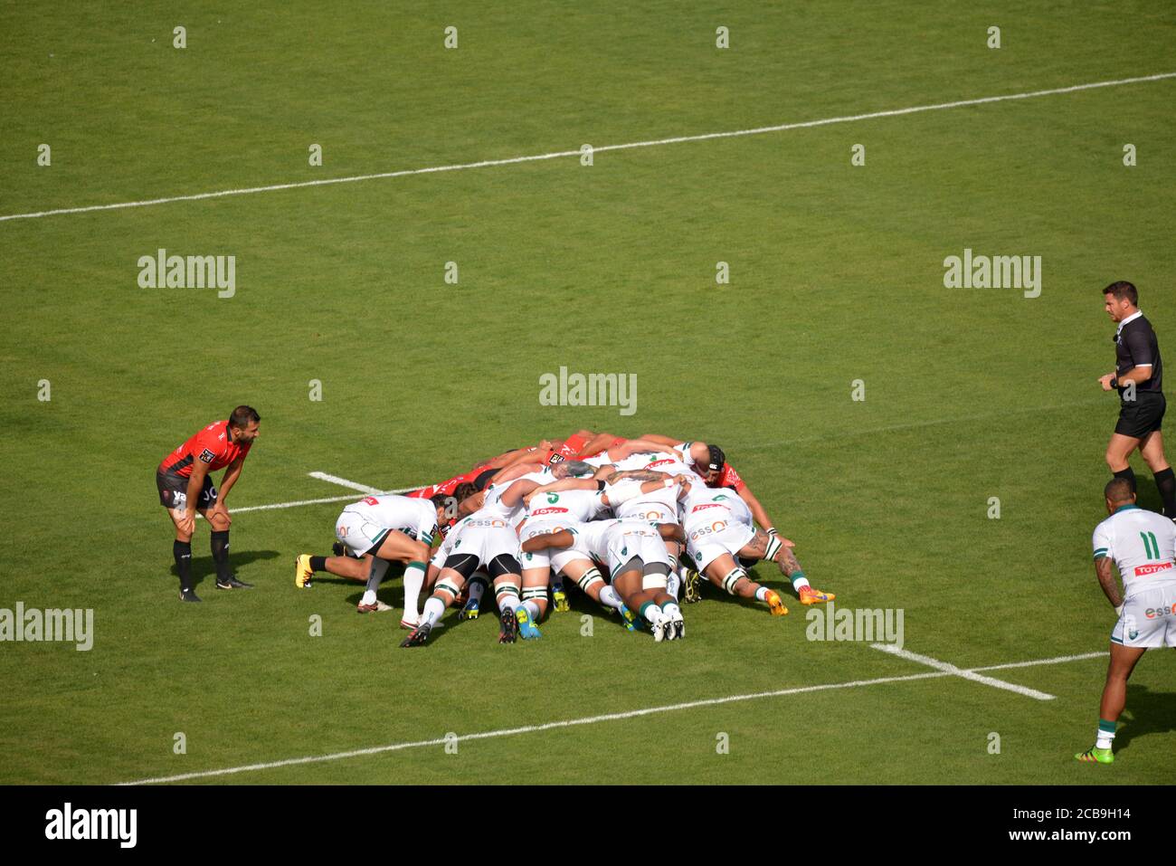 Toulon vs Pau rugby match at the Mayol Toulon stadium Stock Photo - Alamy