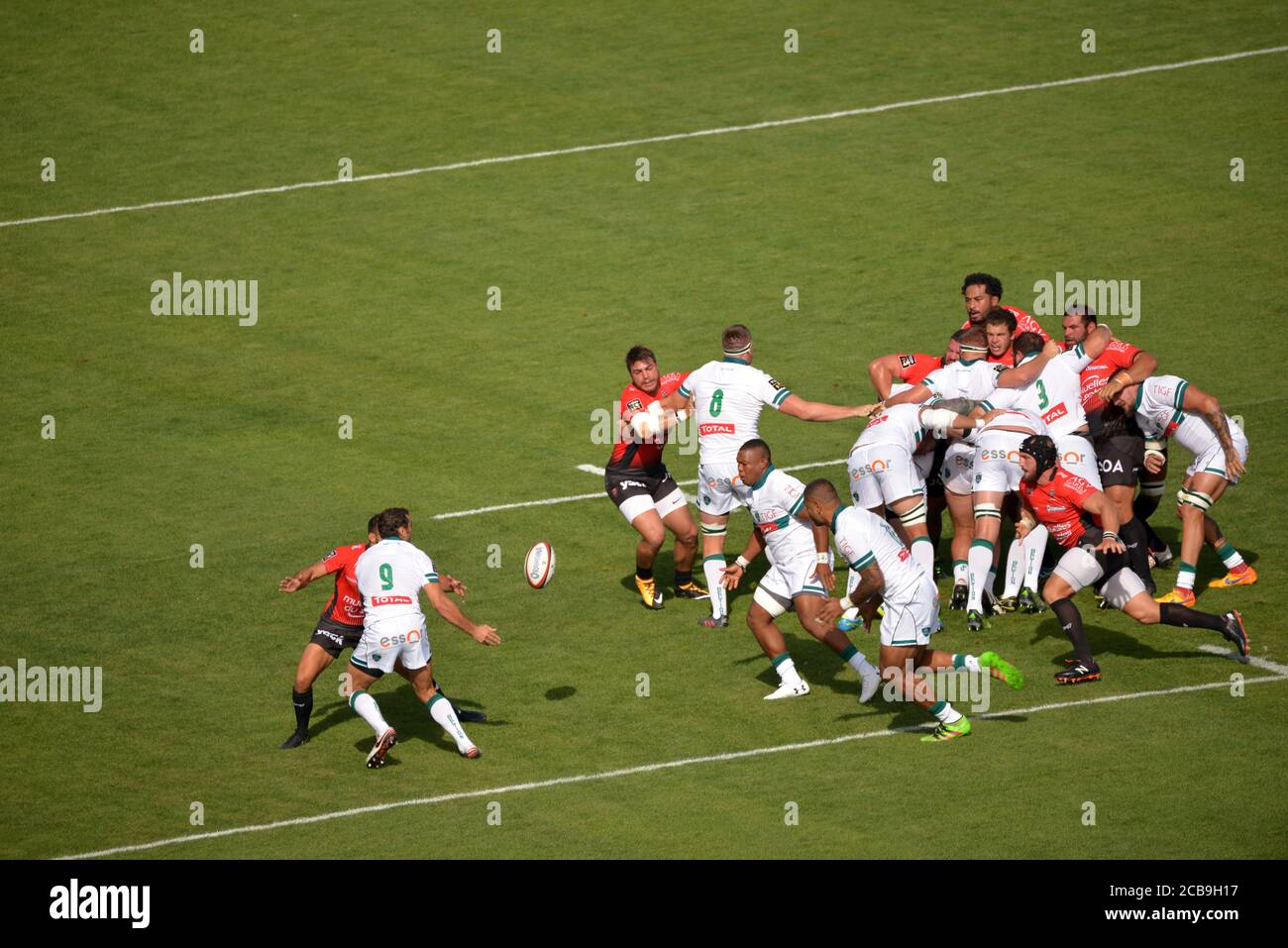 Toulon vs Pau rugby match at the Mayol Toulon stadium Stock Photo - Alamy