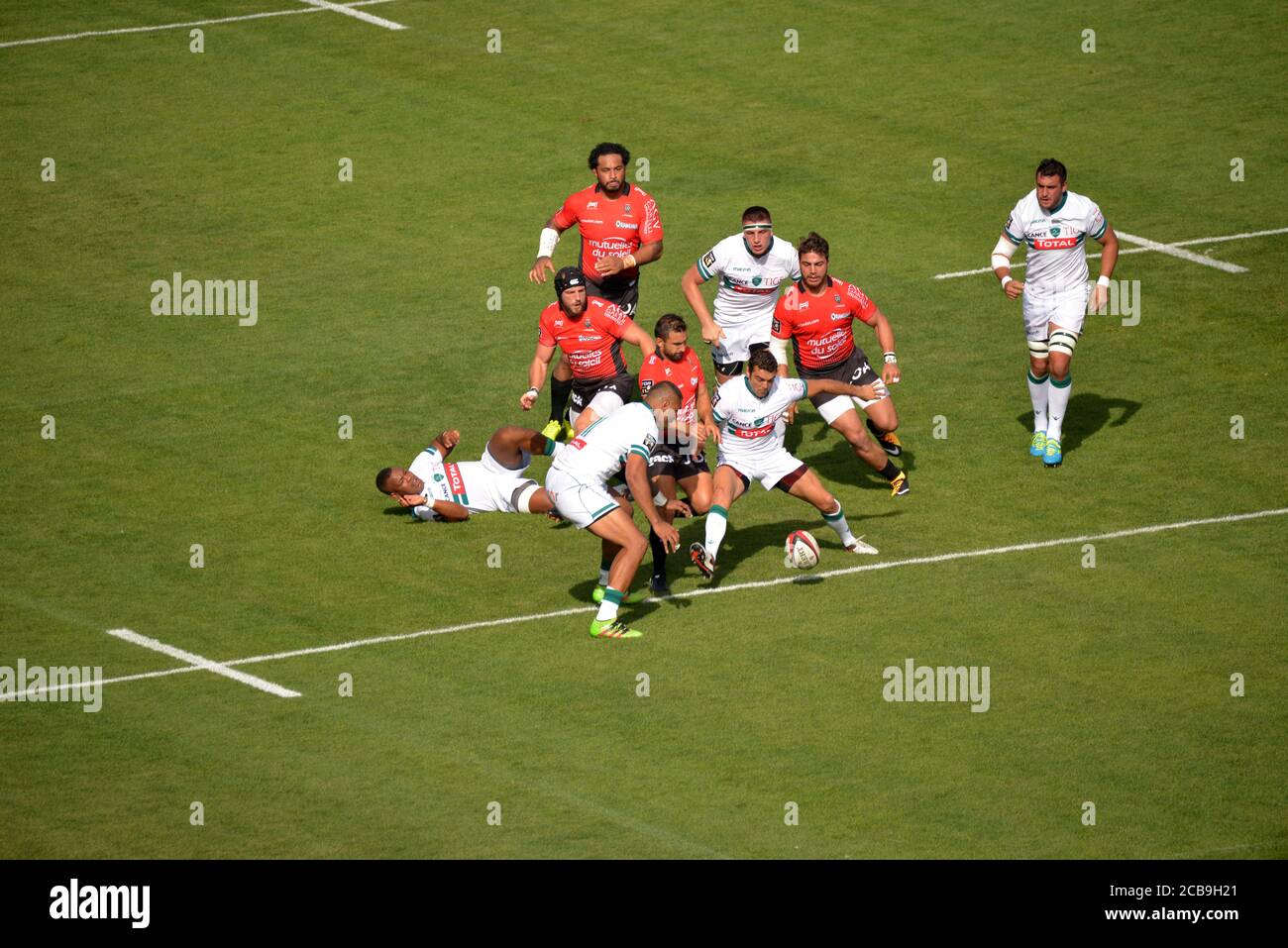 Toulon vs Pau rugby match at the Mayol Toulon stadium Stock Photo - Alamy