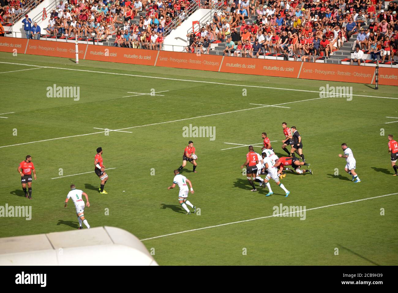 Toulon vs Pau rugby match at the Mayol Toulon stadium Stock Photo - Alamy