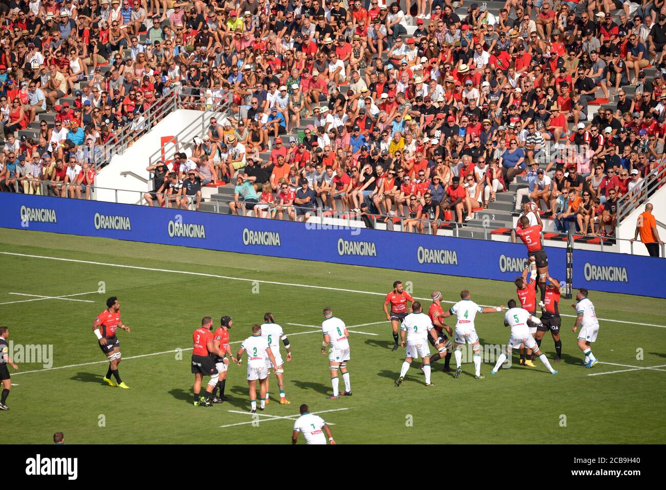 Toulon vs Pau rugby match at the Mayol Toulon stadium Stock Photo - Alamy