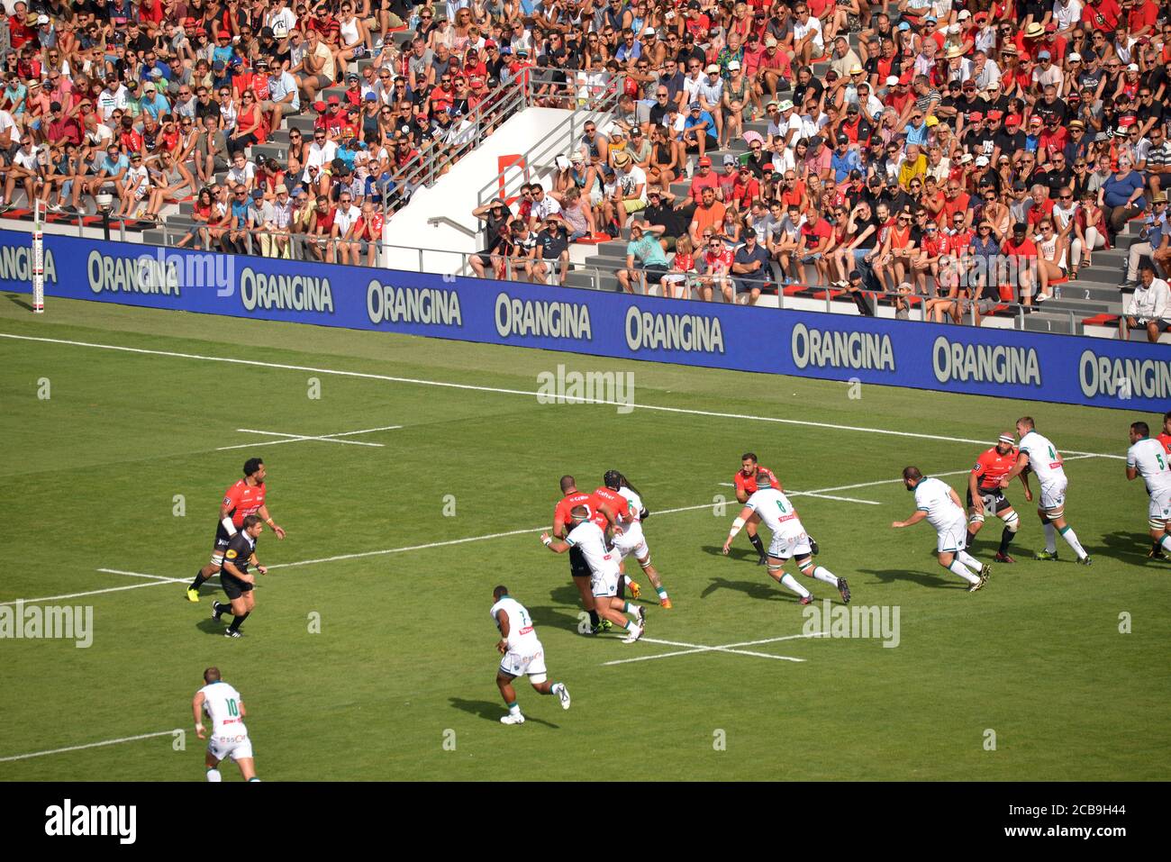 Toulon vs Pau rugby match at the Mayol Toulon stadium Stock Photo - Alamy