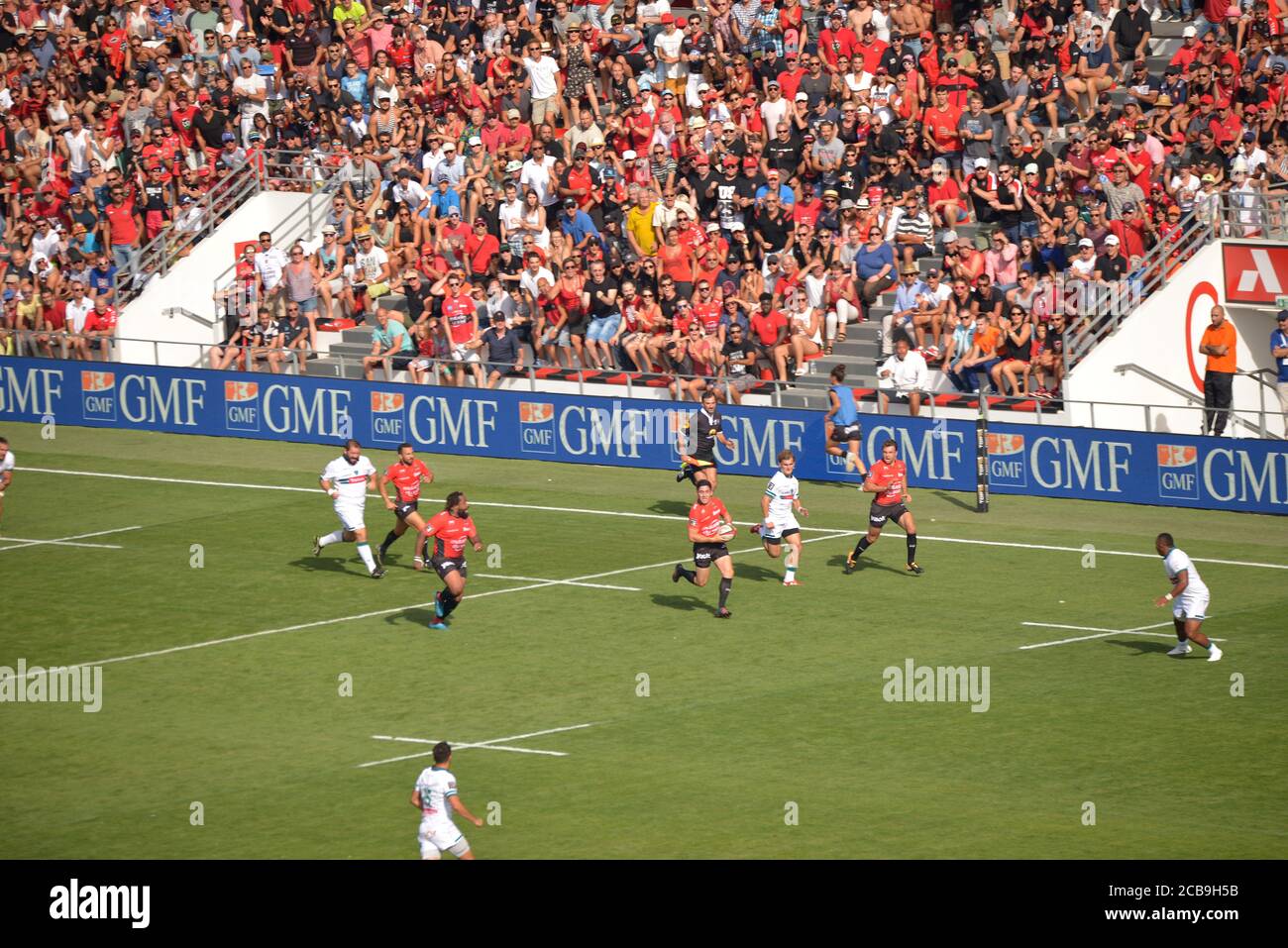 Toulon vs Pau rugby match at the Mayol Toulon stadium Stock Photo - Alamy