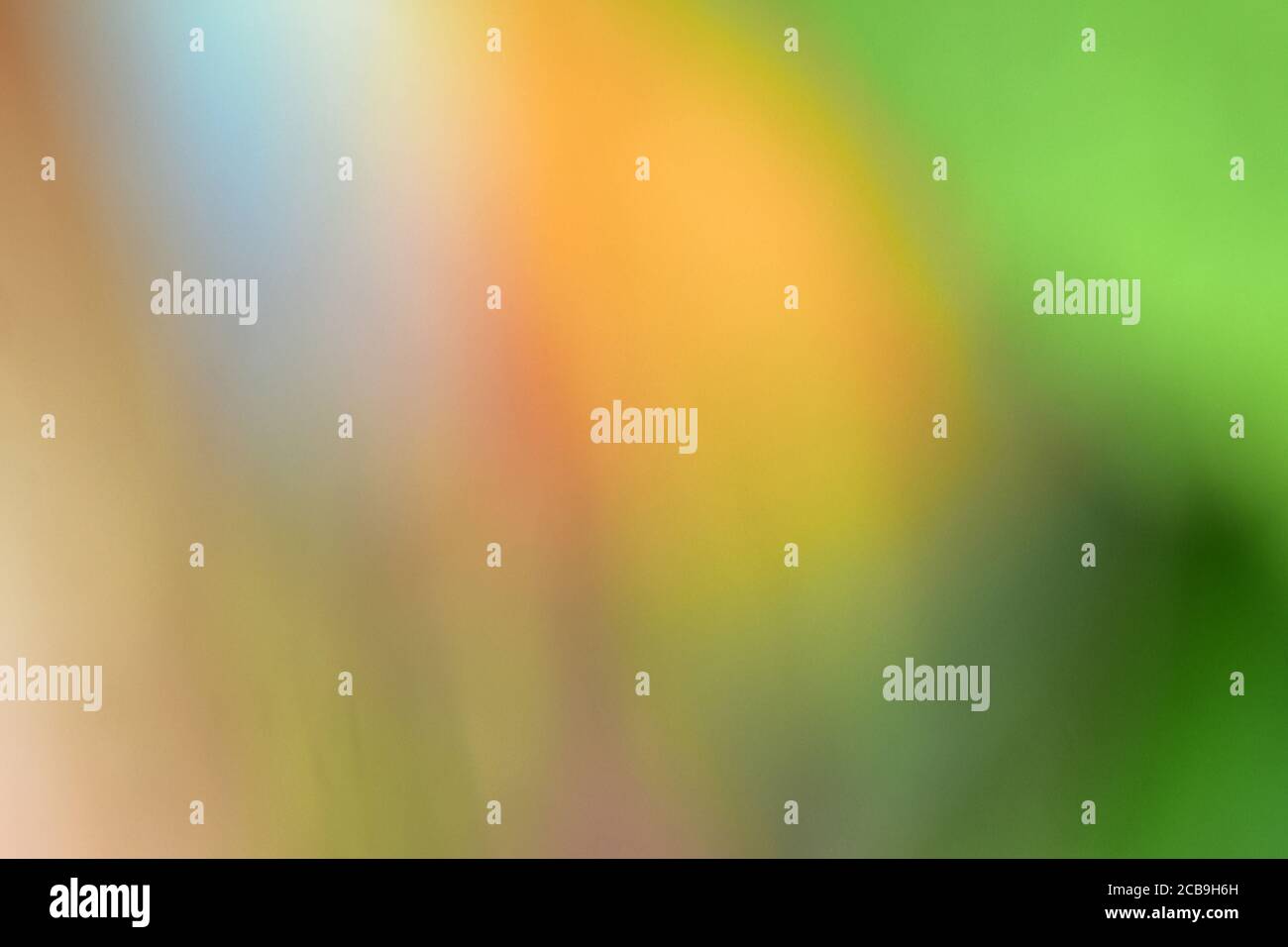 Bokeh green nature, Subtle background in abstract style for graphic ...