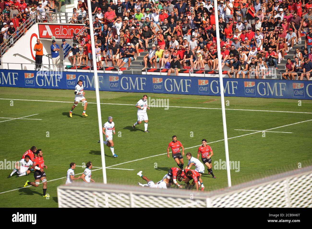 Toulon vs Pau rugby match at the Mayol Toulon stadium Stock Photo - Alamy