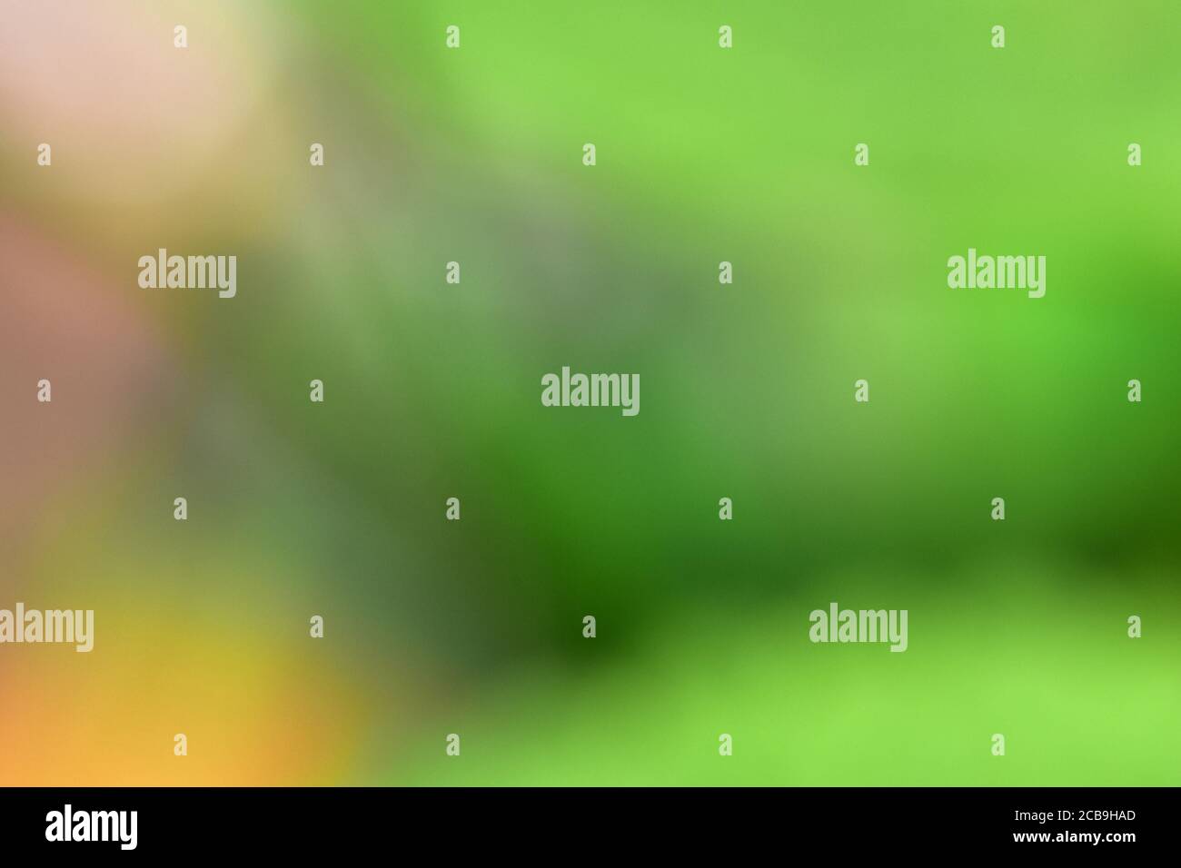 Bokeh green nature, Subtle background in abstract style for graphic ...