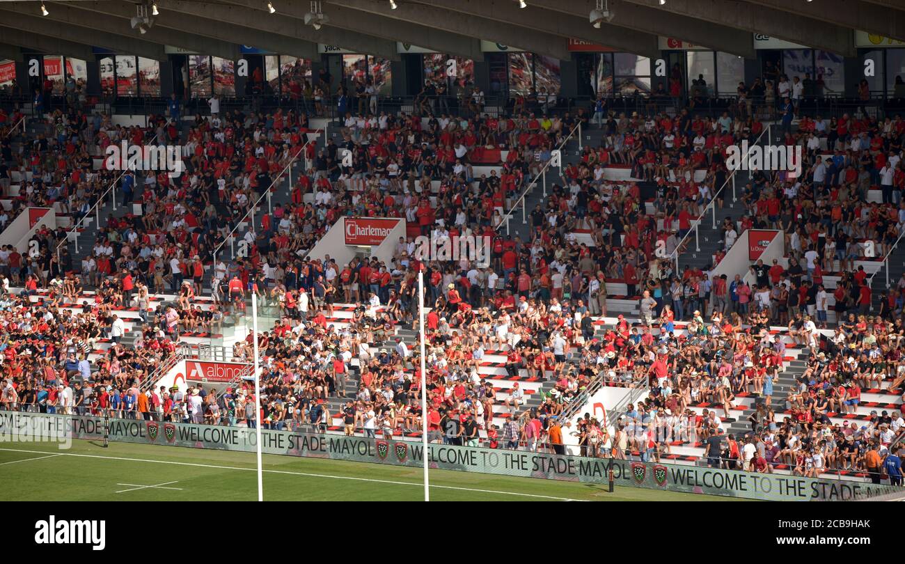 Toulon vs Pau rugby match at the Mayol Toulon stadium Stock Photo - Alamy