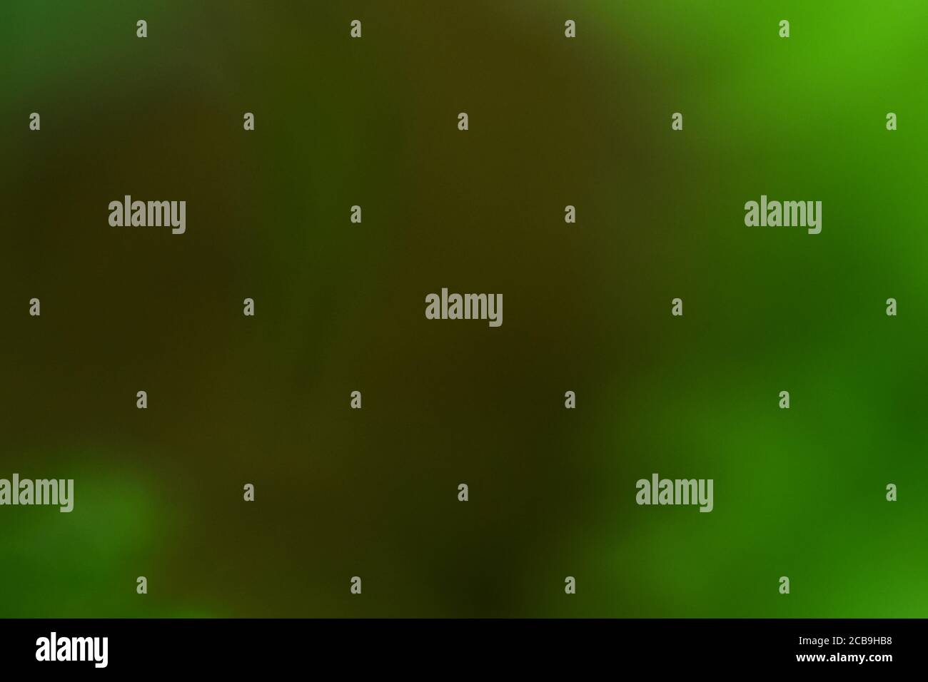 Bokeh green nature, Subtle background in abstract style for graphic ...