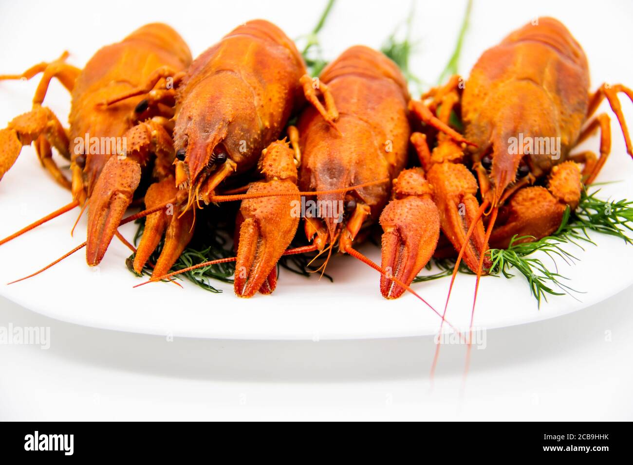 Delicious boiled crayfishes on the white plate with a dill. Red boiled ... Delicious boiled crayfishes on the white plate with a dill. Red boiled ...
