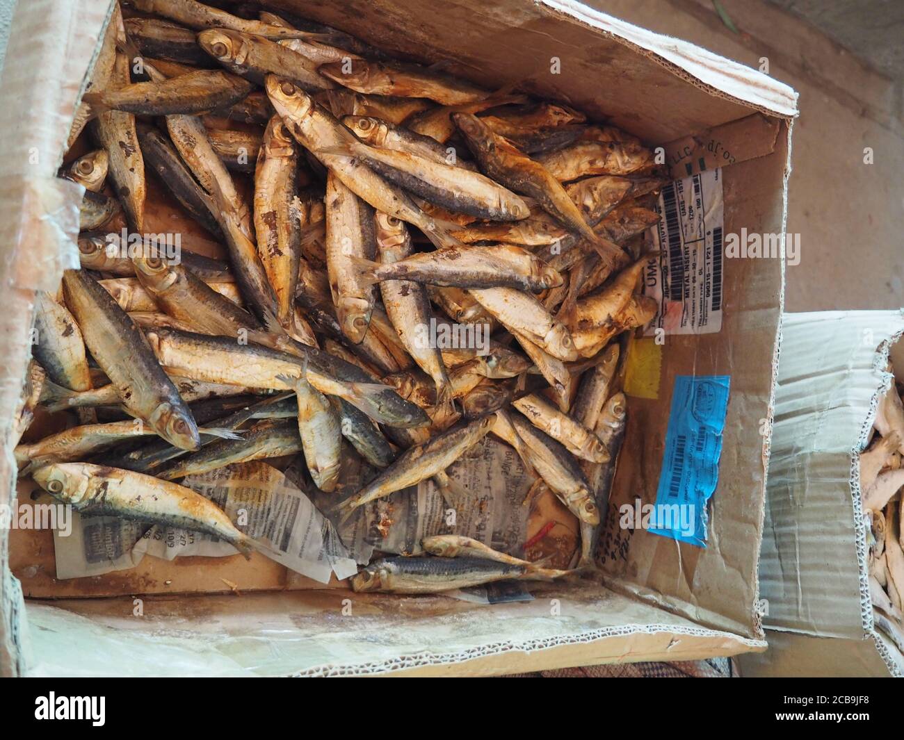 High angle shot of small roasted fishes in the box Stock Photo - Alamy