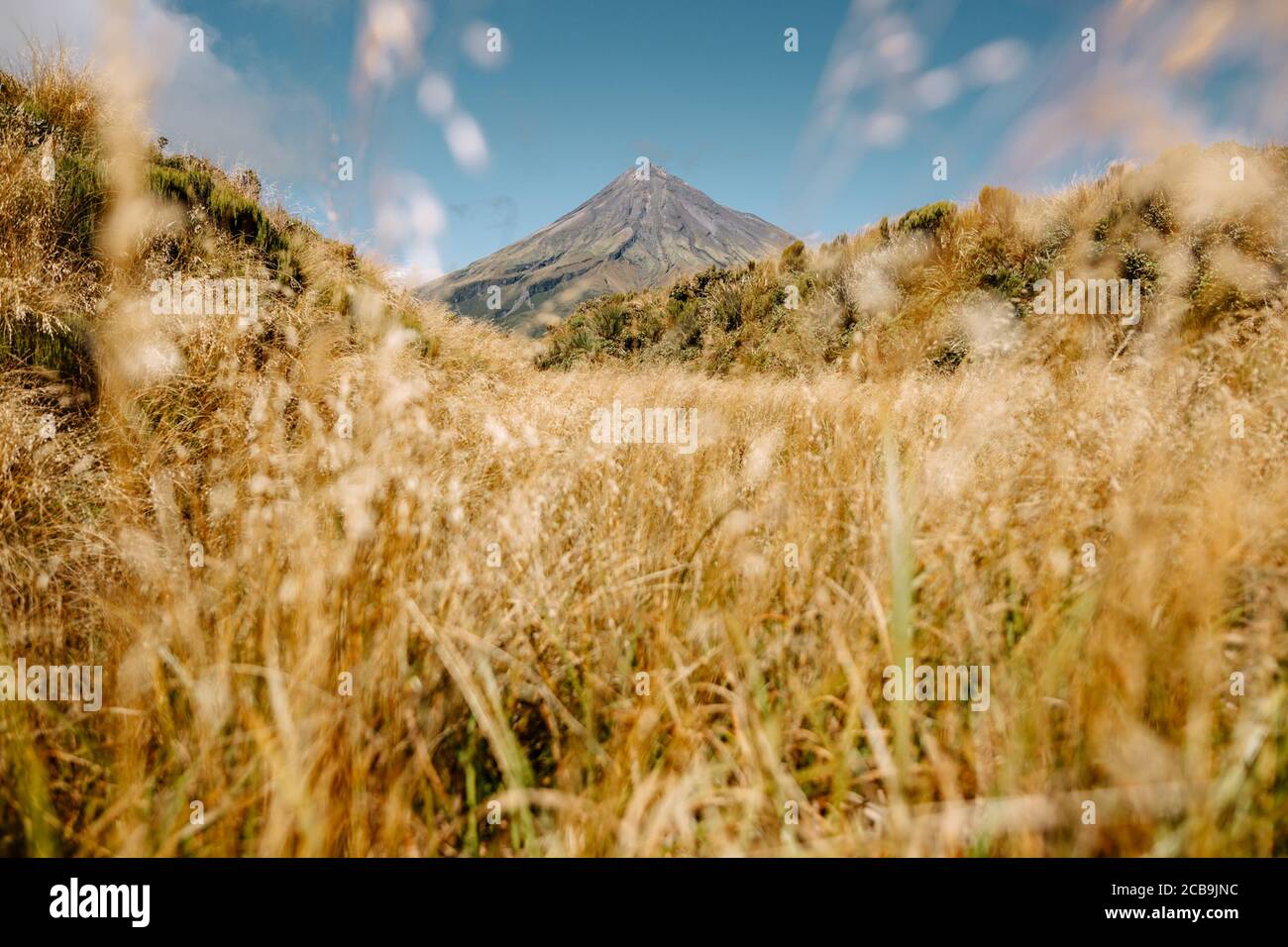 High Mount Taranaki surrounded by dry grass, Egmont National Park North ...