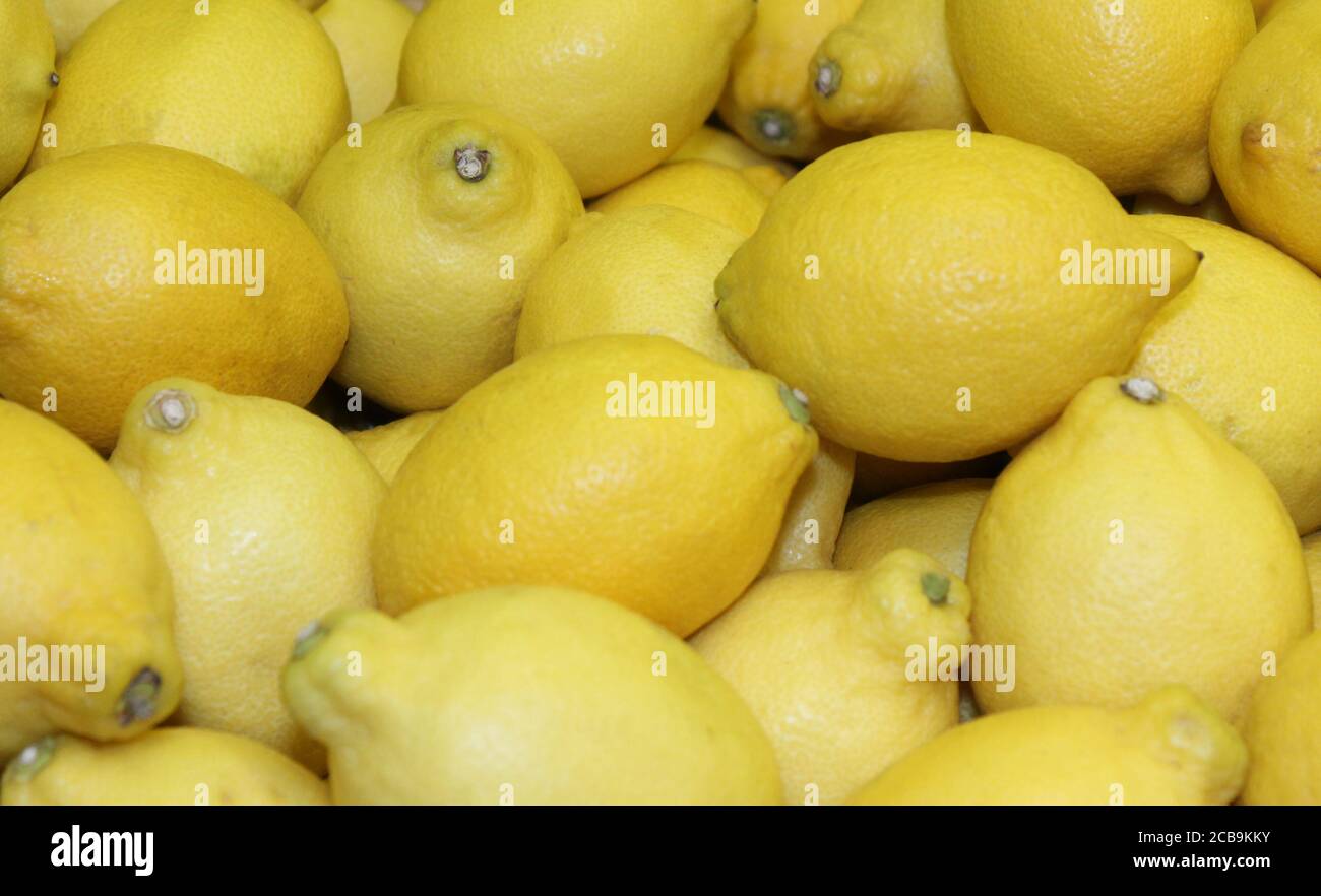 A Display of Fresh Yellow Lemon Citrus Fruits Stock Photo - Alamy