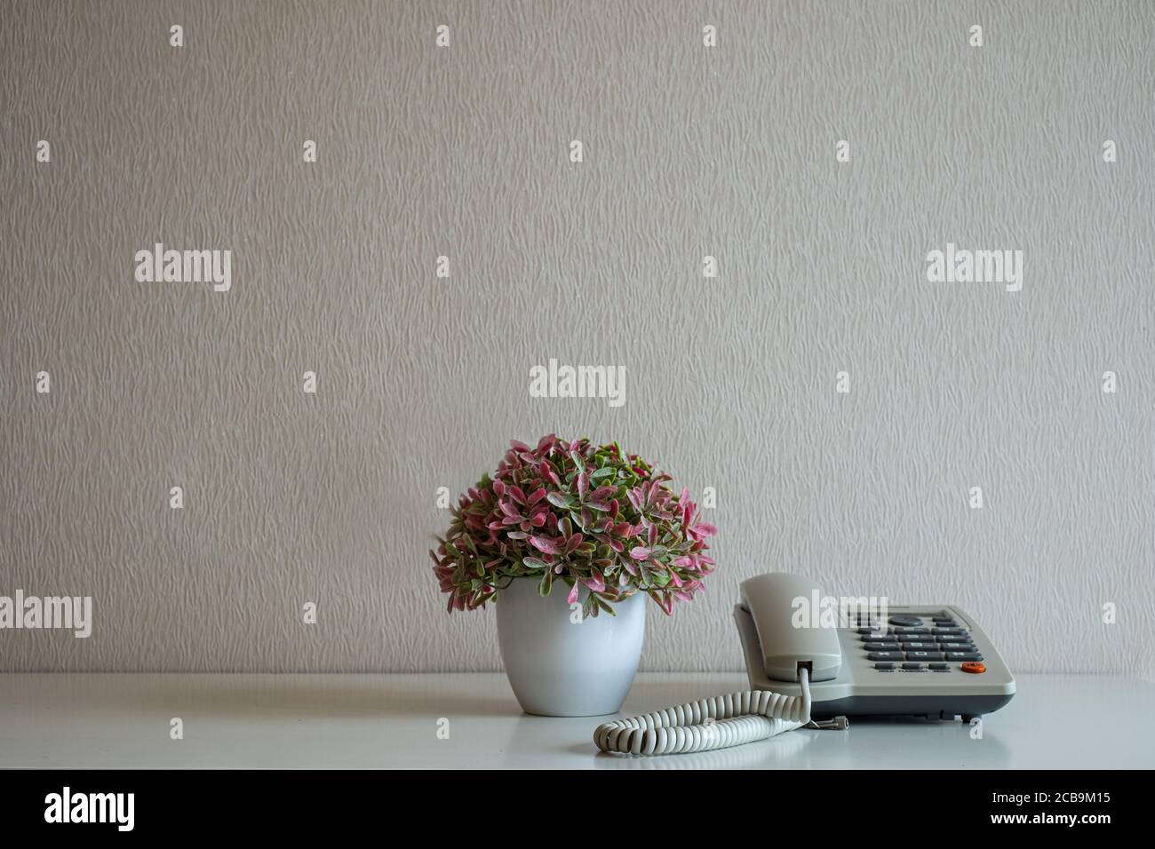 Telephone and flower pot on the desk at gray wall background Stock ...
