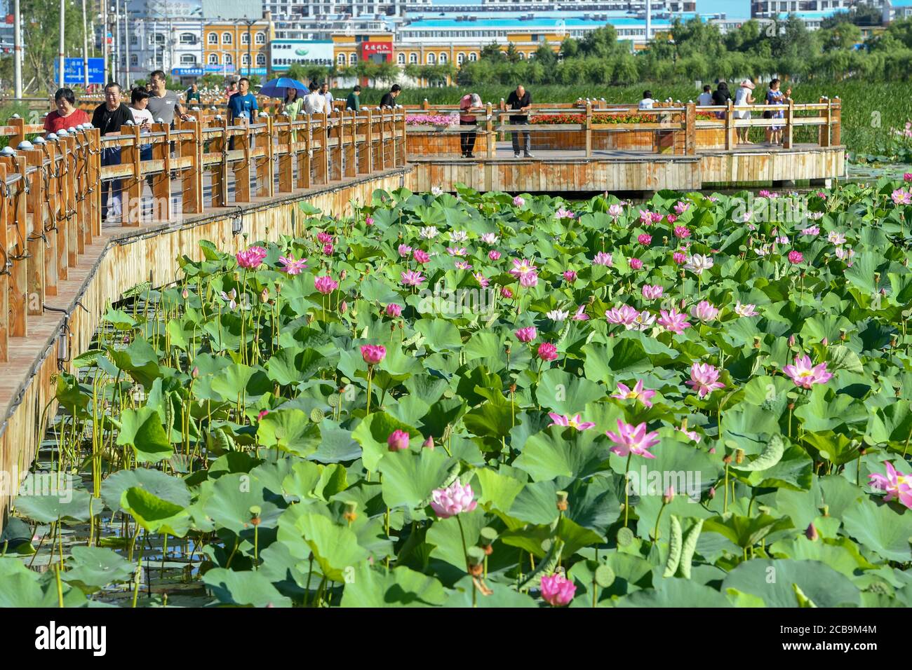 Zhenlai county hi-res stock photography and images - Alamy