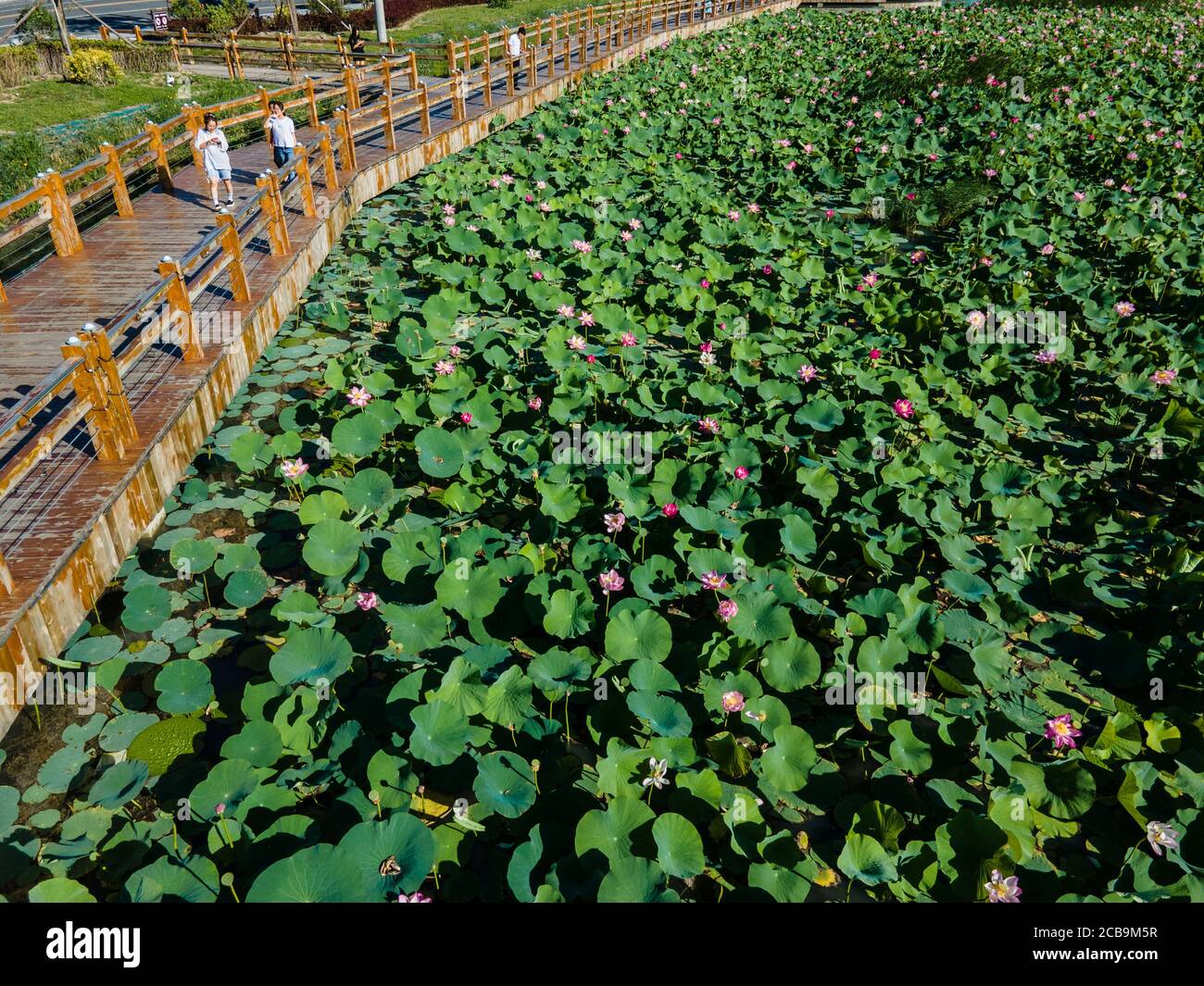 Baicheng hi-res stock photography and images - Alamy