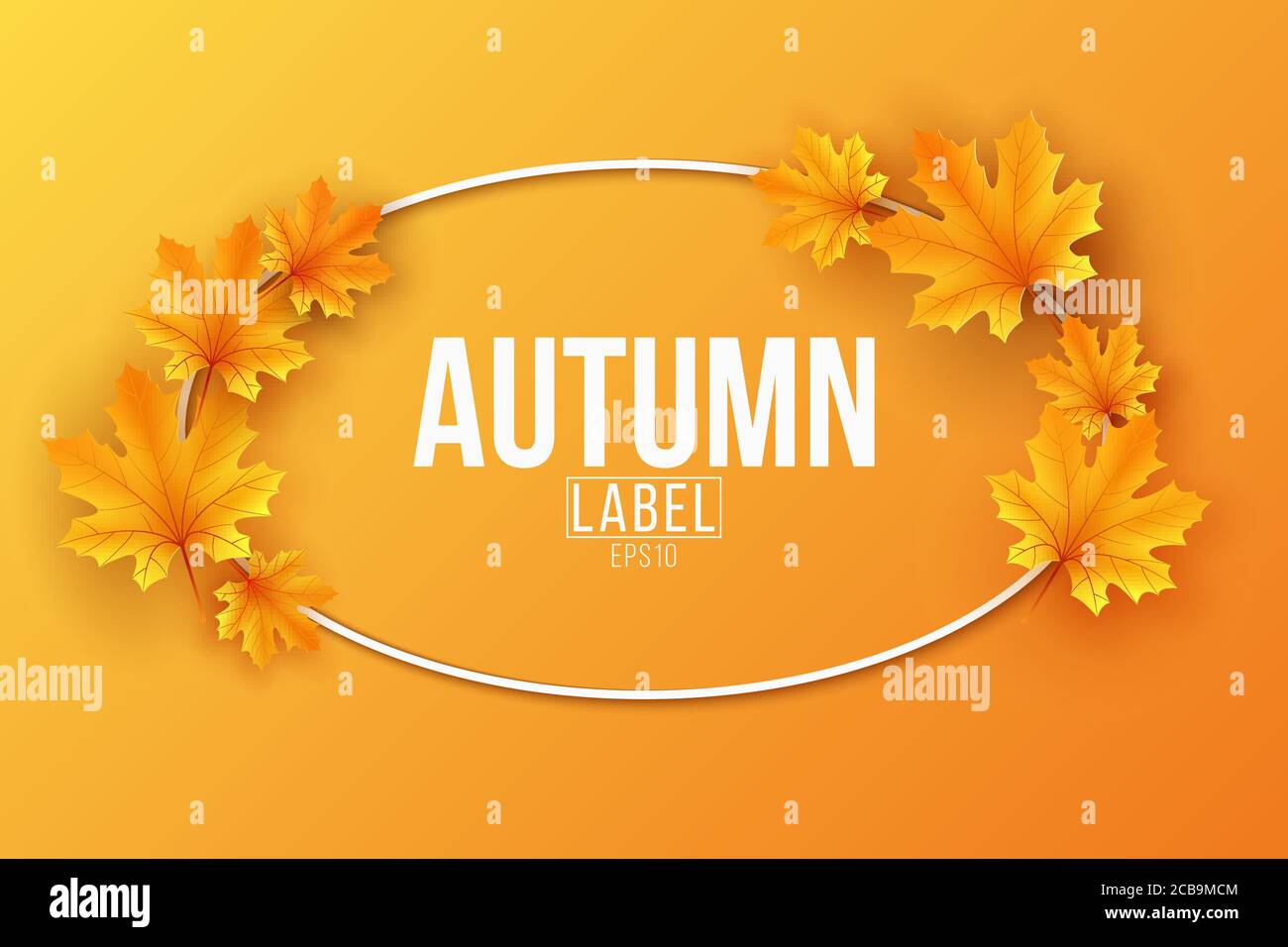 Autumn seasonal label with maple leaves on orange background. Festive ...