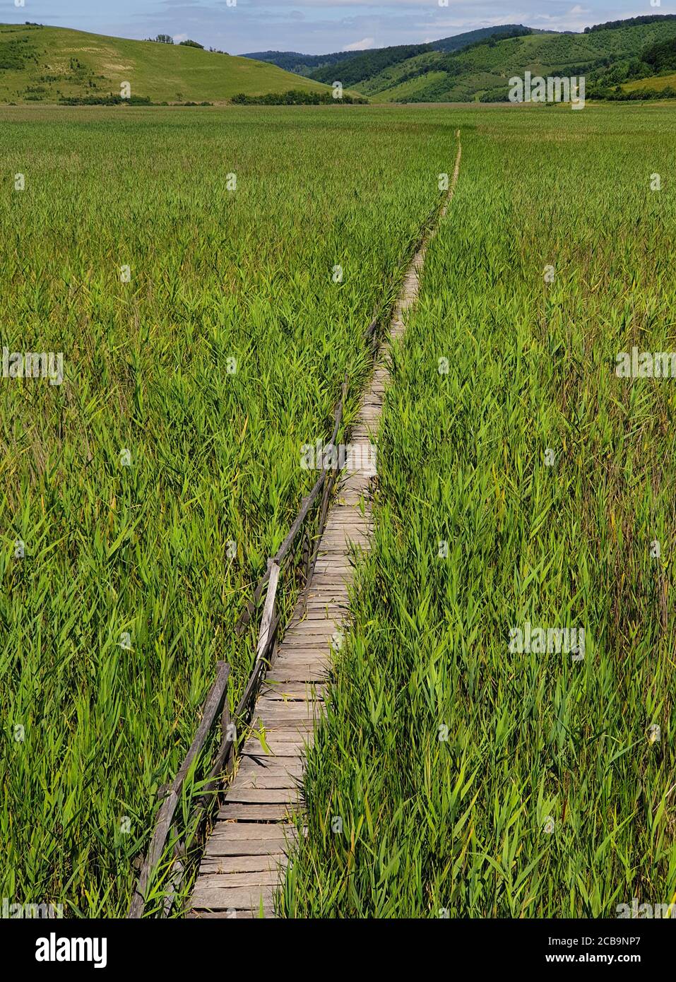 Stufarisurile hi-res stock photography and images - Alamy