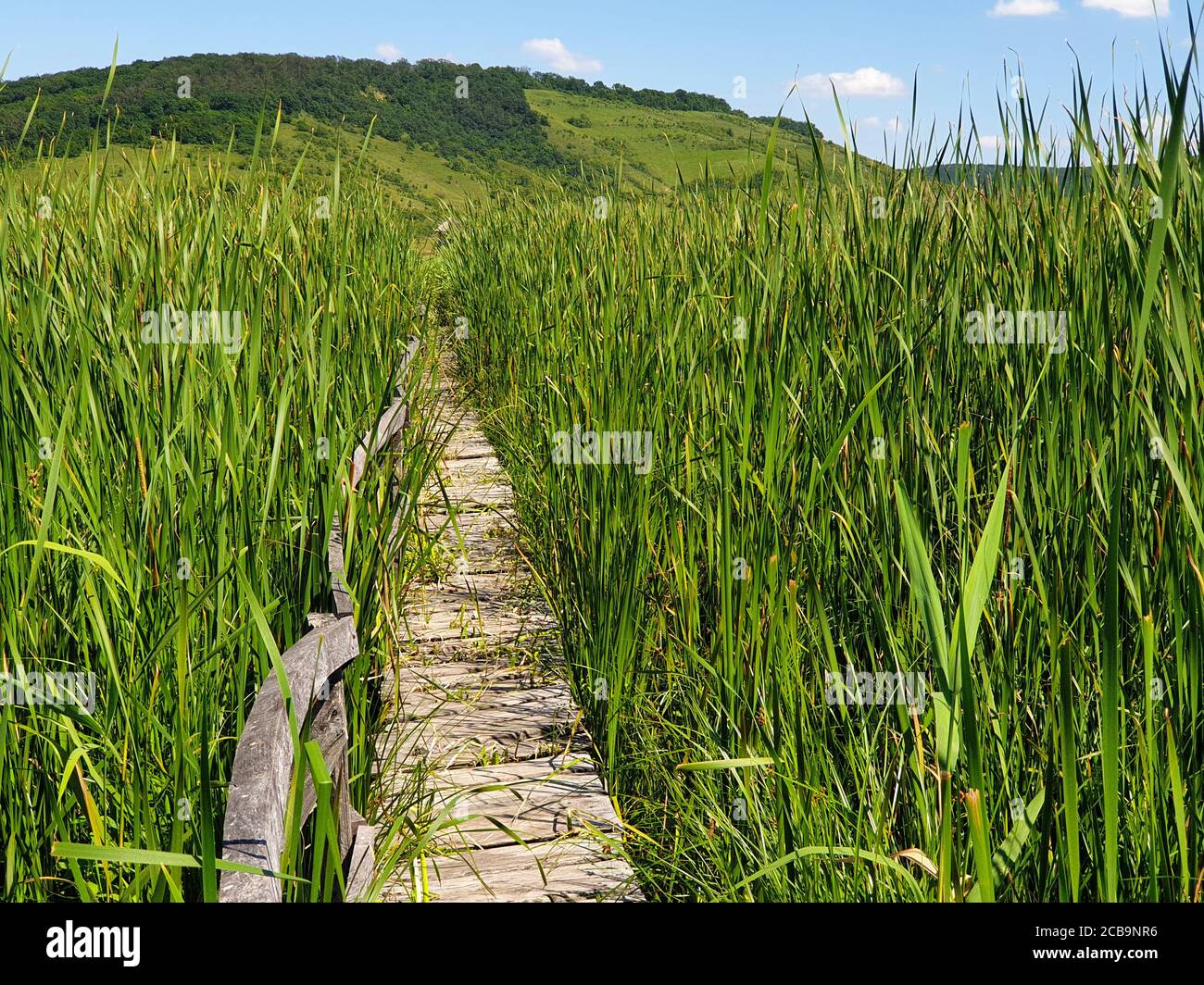 Stufarisurile hi-res stock photography and images - Alamy