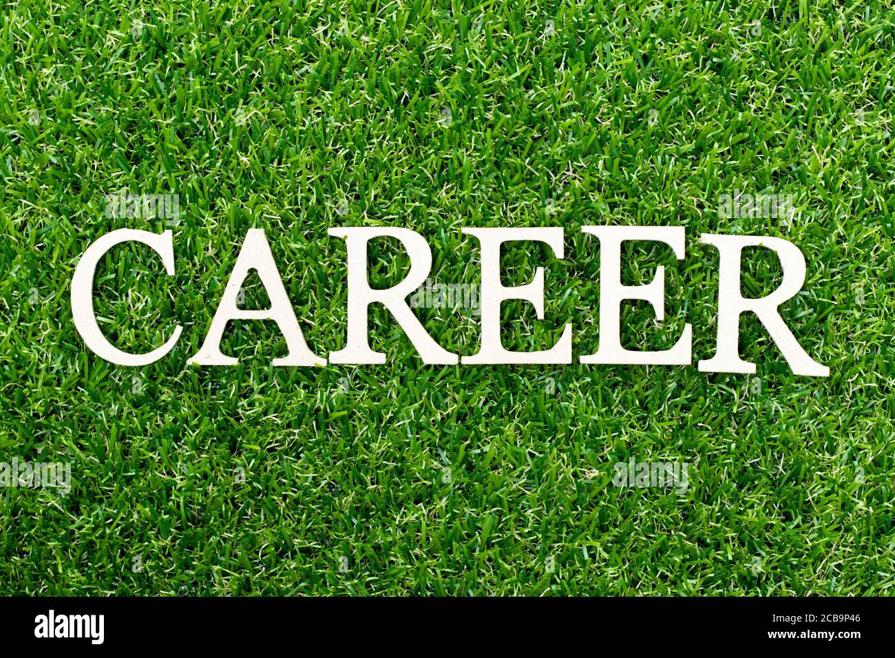 Wood alphabet letter in word career on green grass background Stock ...