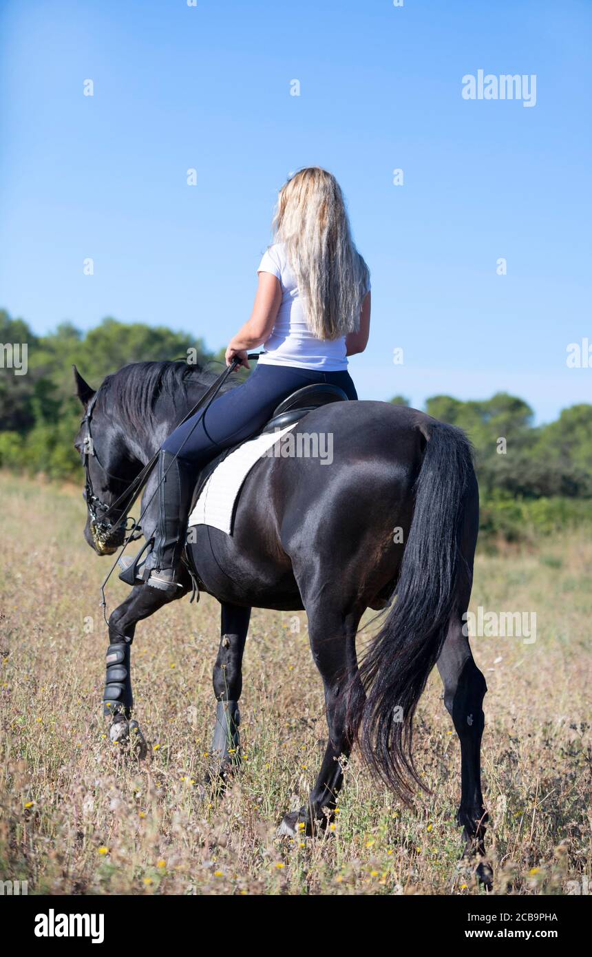 riding girl are training her black horse Stock Photo - Alamy