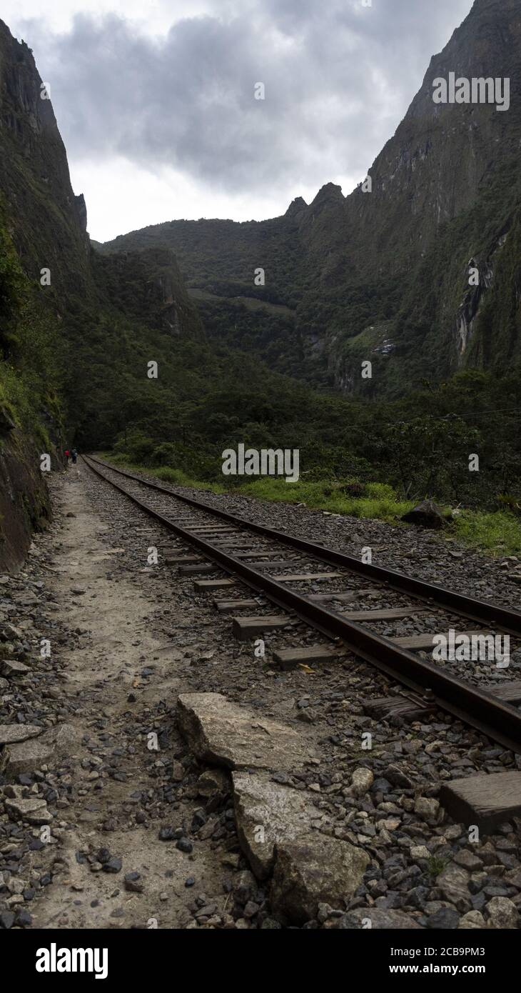 Vertical shot of train tracks with a scenic nature background on a ...