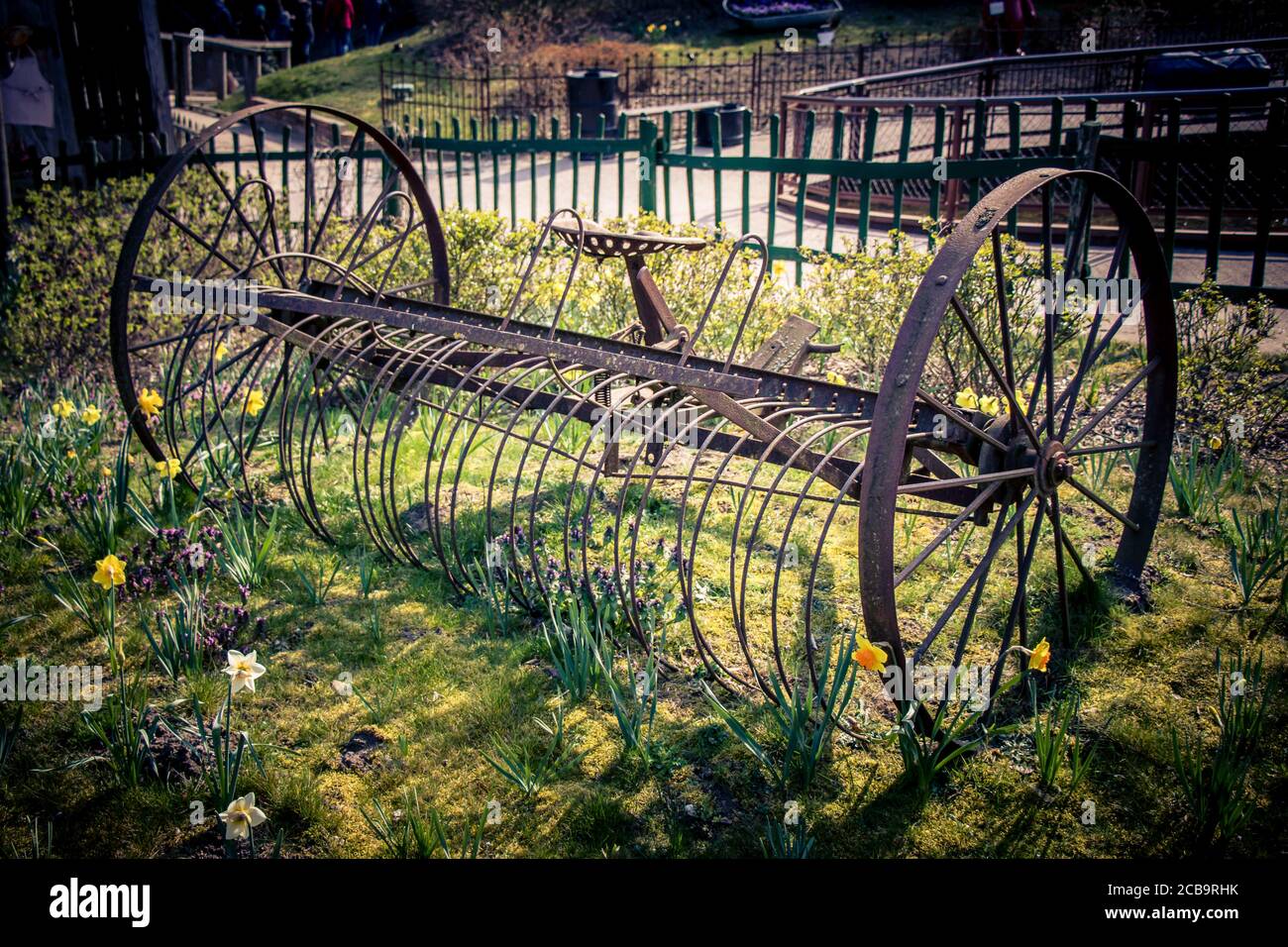 Old vintage metal horse rake in a garden Stock Photo - Alamy