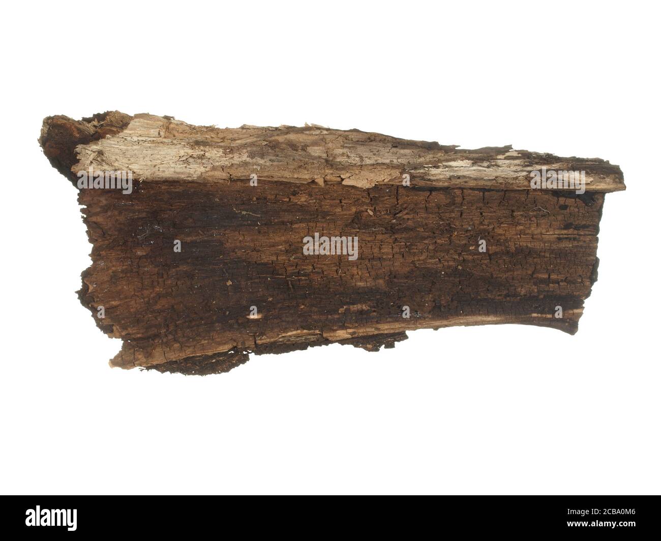 Rotten piece of wood hi-res stock photography and images - Alamy