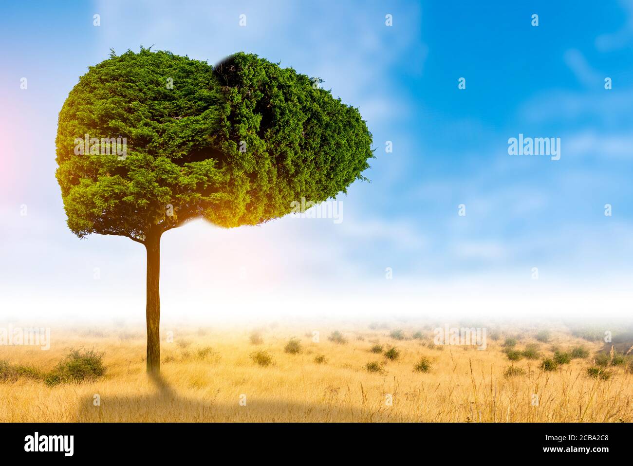Illustration of a tree in the shape of a liver (environment and ...