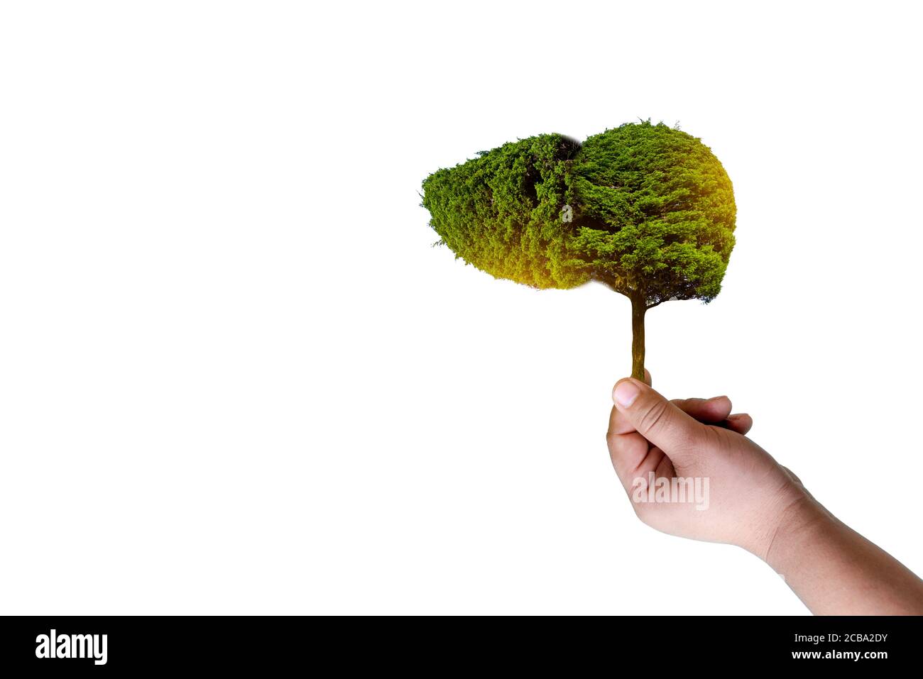 Illustration of a tree in the shape of a liver (environment and ...