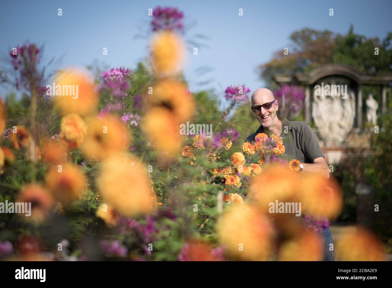 60 metres summer borders hi-res stock photography and images - Alamy