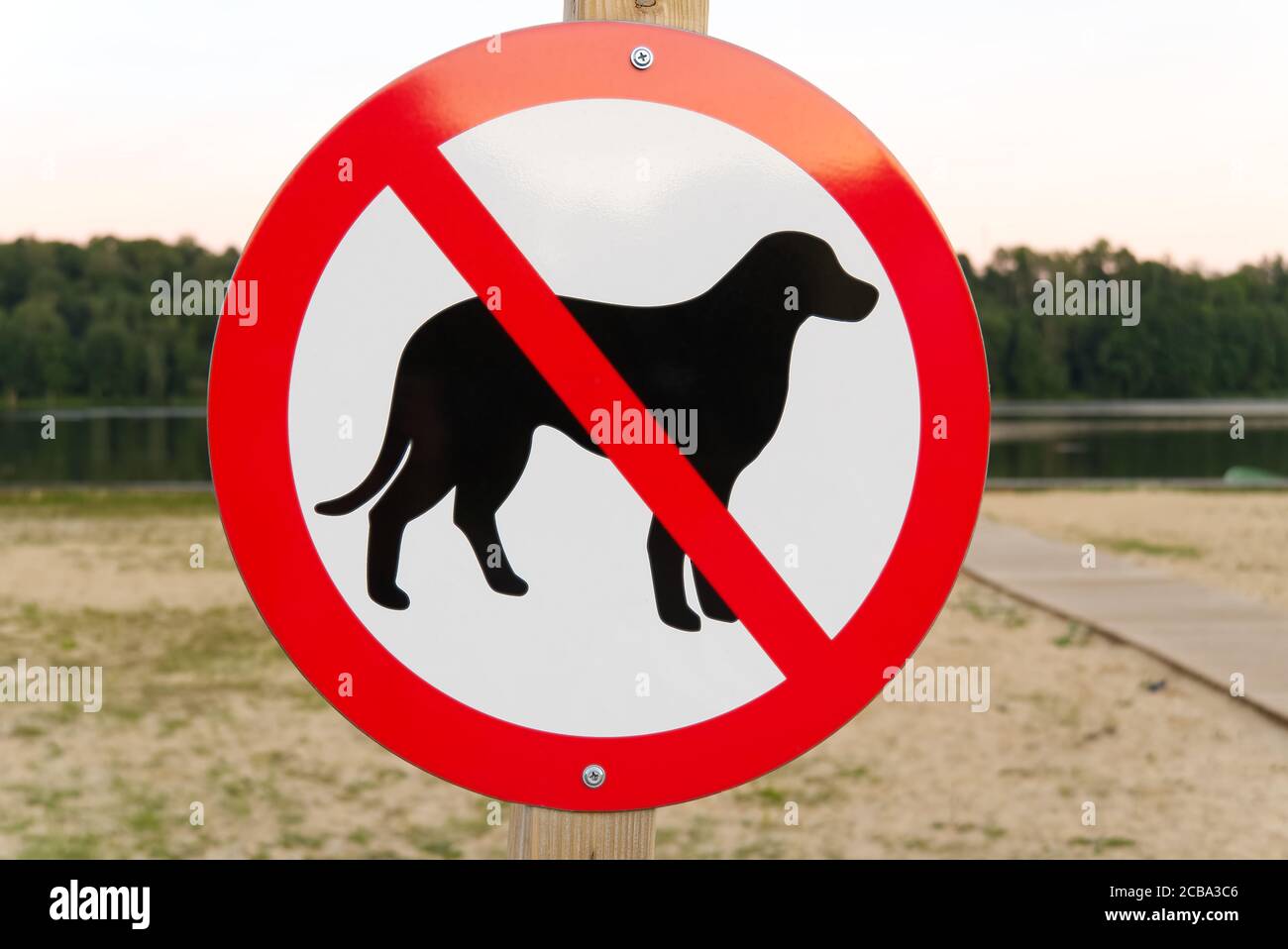 No dog sign on a city beach. no pets allowed sign Stock Photo - Alamy
