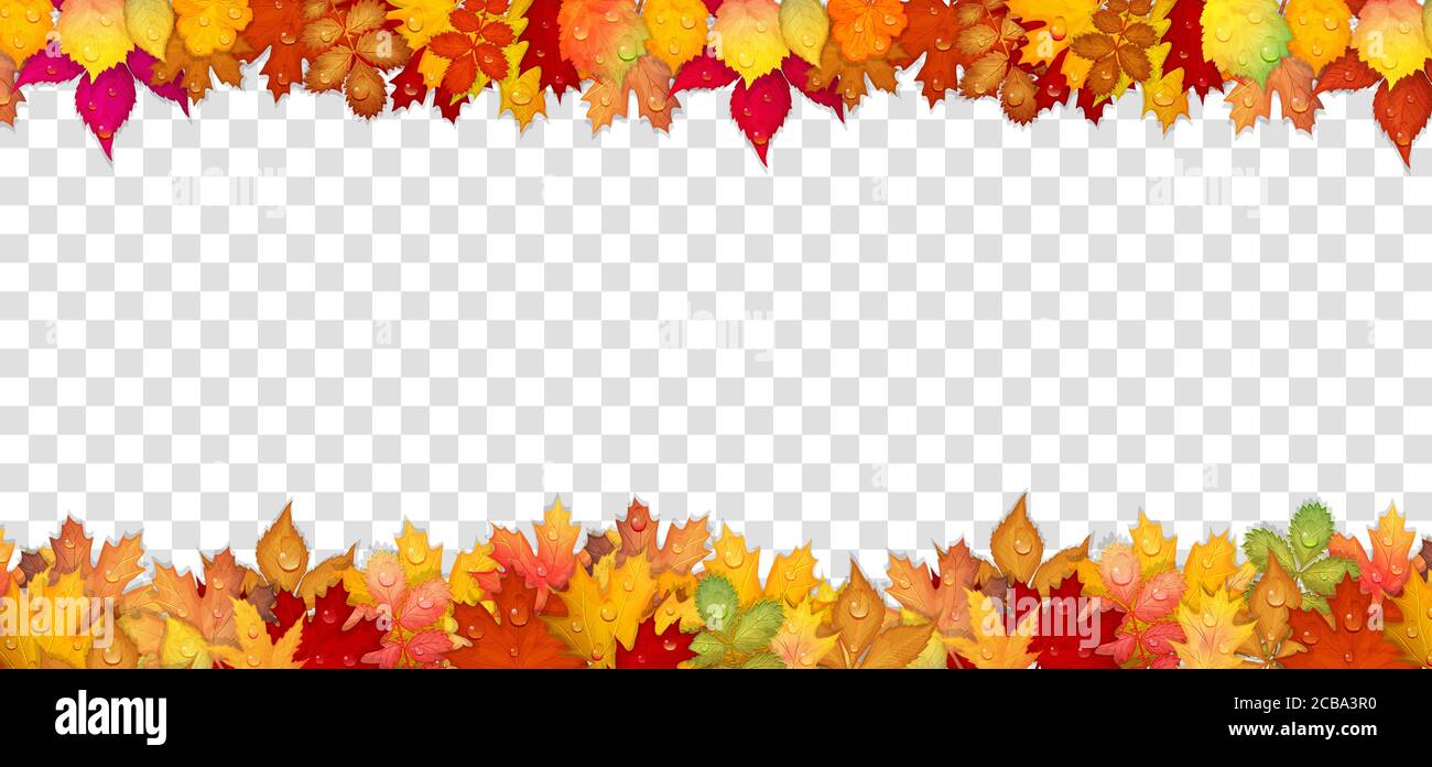 Autumn frame with colorful leaves on transparent background. Vector ...