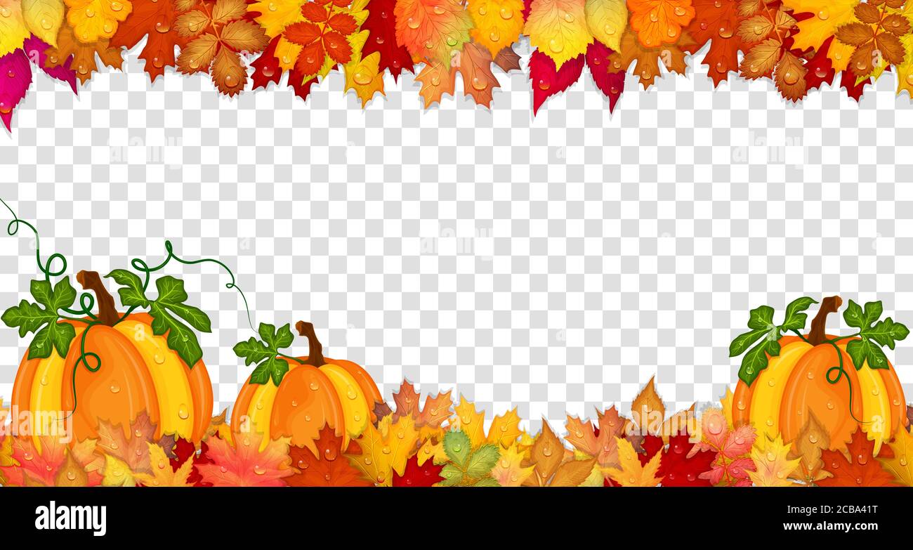 Autumn frame with pumpkins and colorful leaves isolated on transparent ...