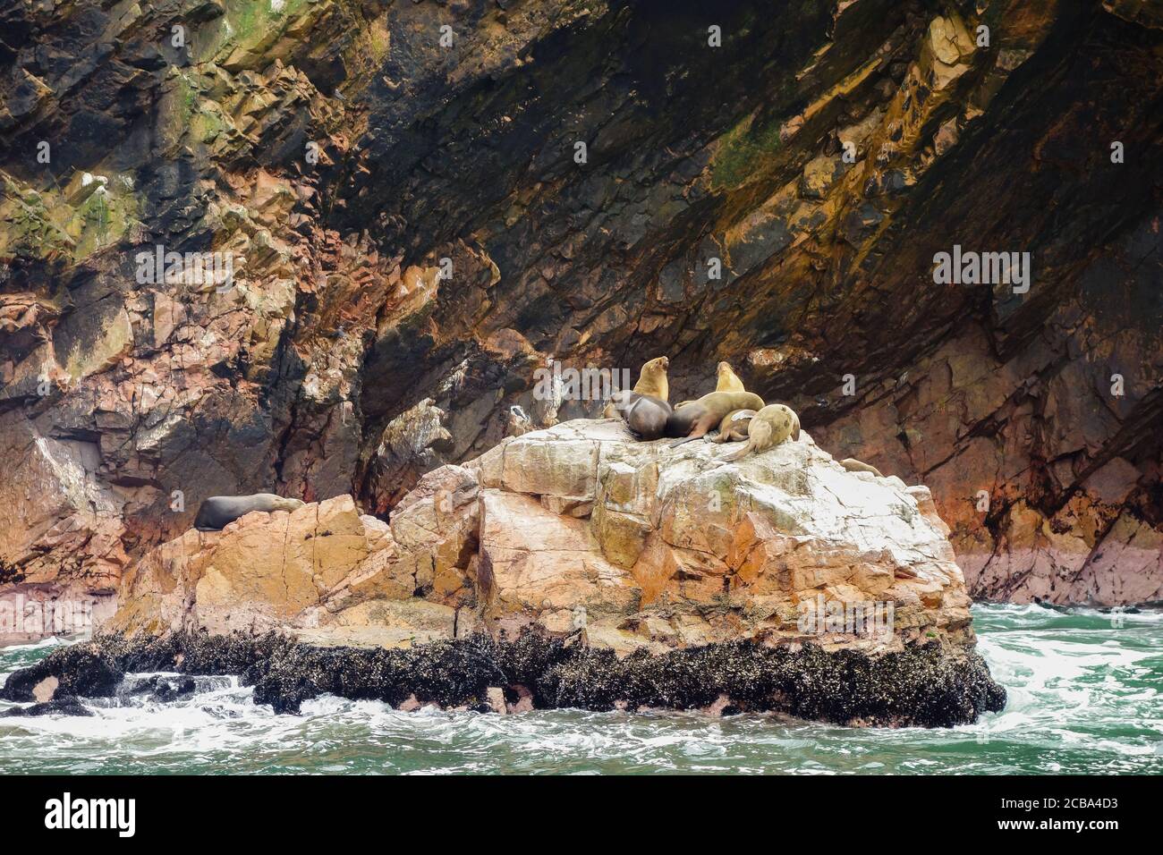 Ballestas Islands in National Reserve, Peru Stock Photo - Alamy